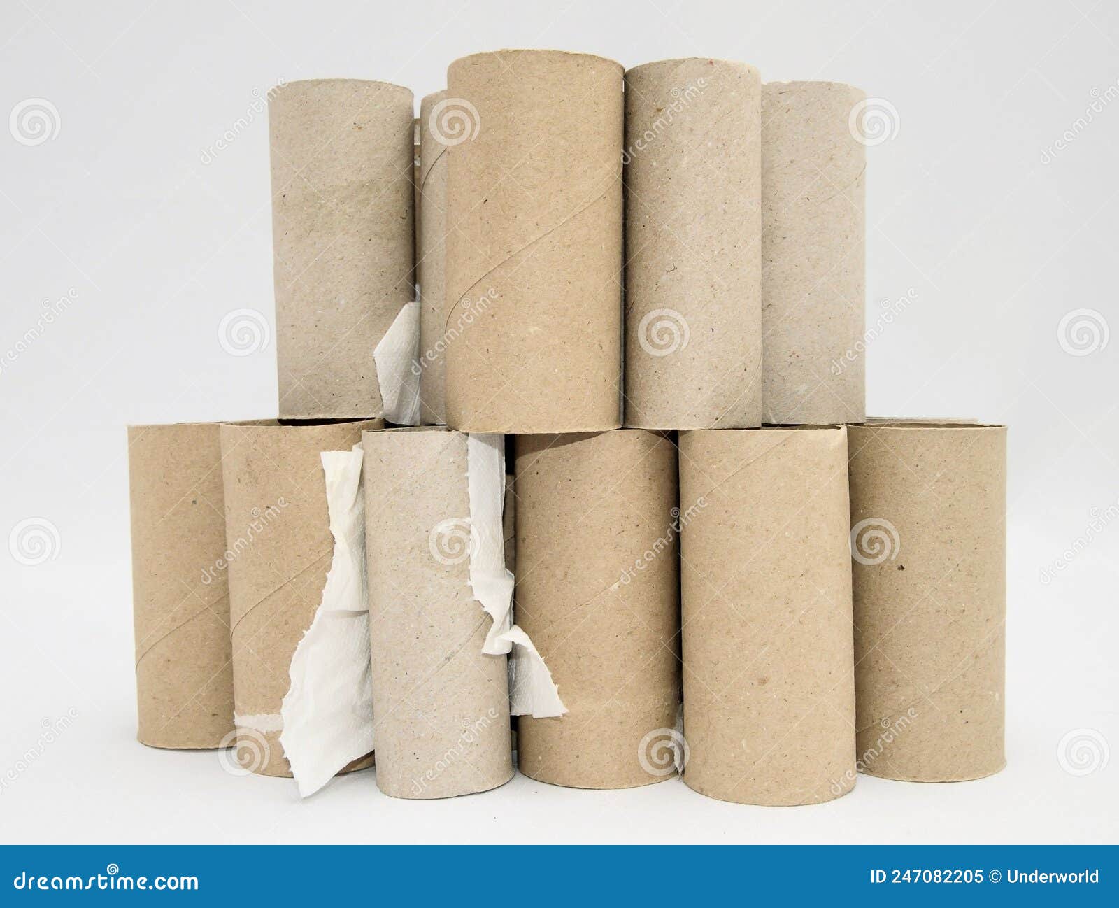 Empty Toilet Paper Roll stock image. Image of bathroom - 247082205