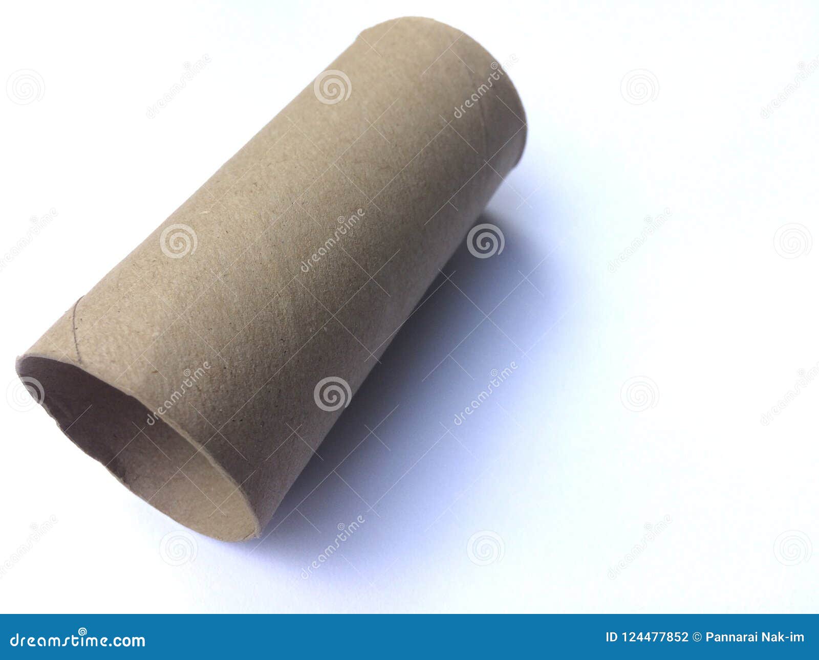 Empty toilet paper roll. stock photo. Image of recycle - 124477852