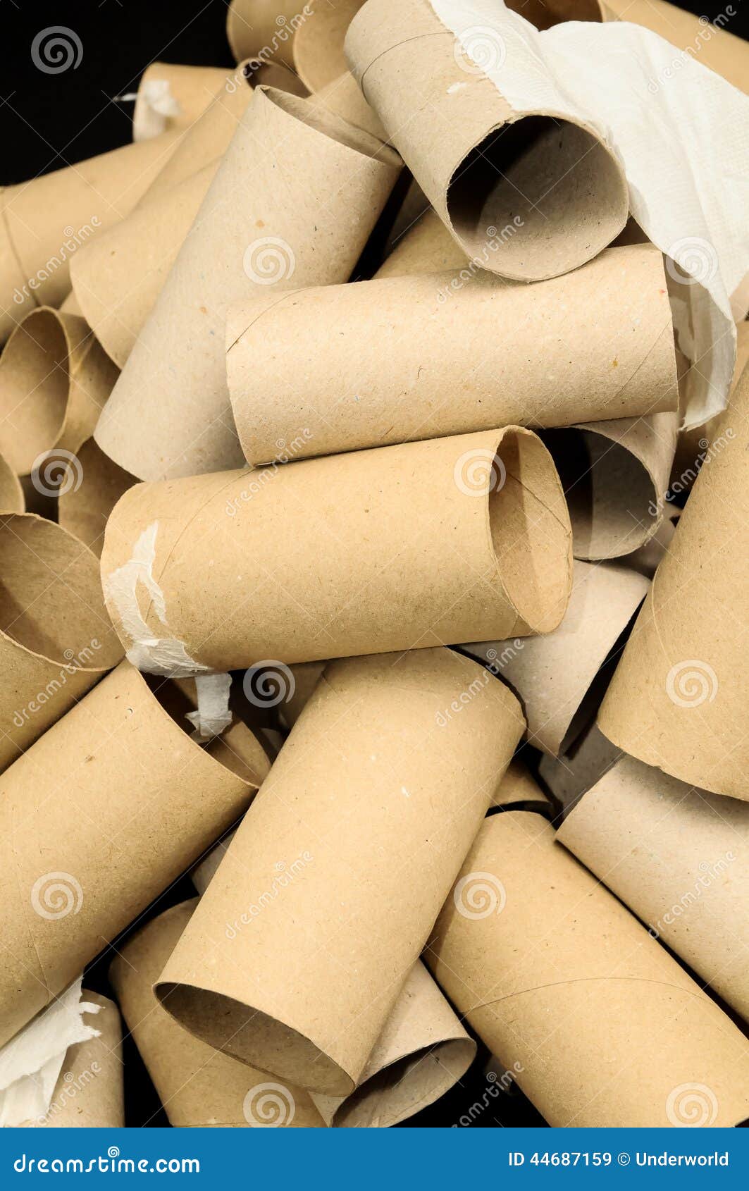 Empty Toilet Paper Roll stock image. Image of brown, hygiene - 44687159