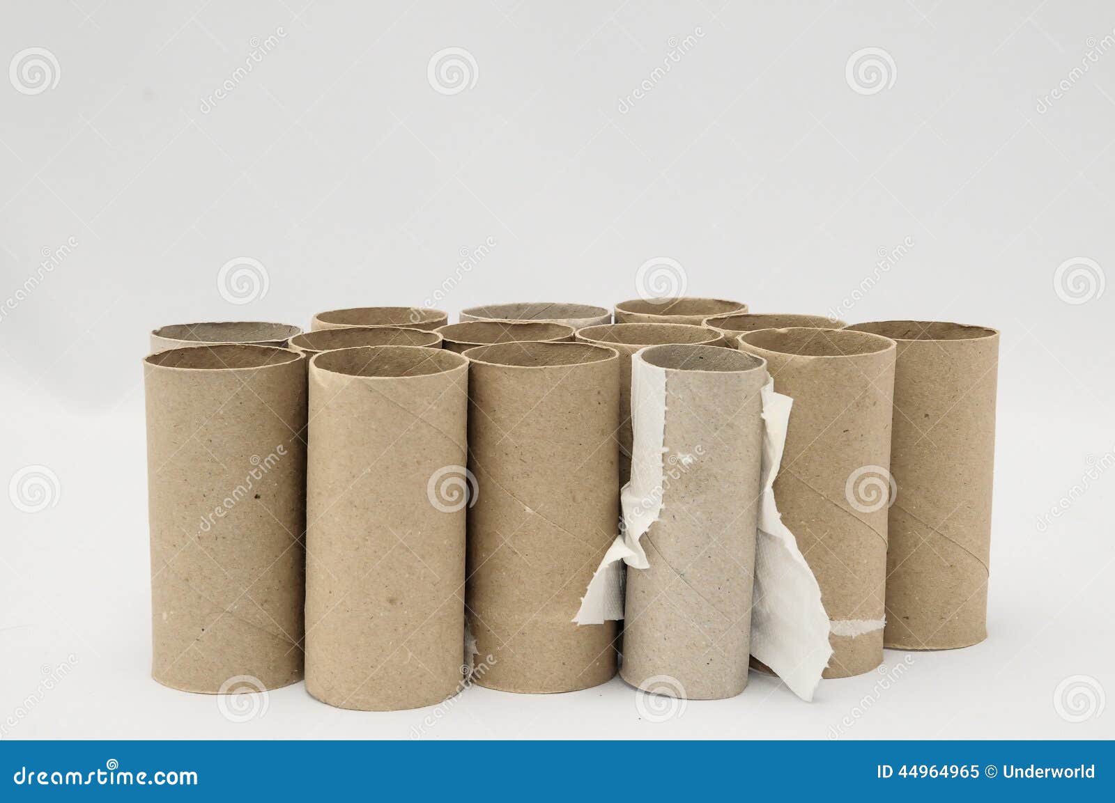 Empty Toilet Paper Roll stock image. Image of brown, recycled - 44964965