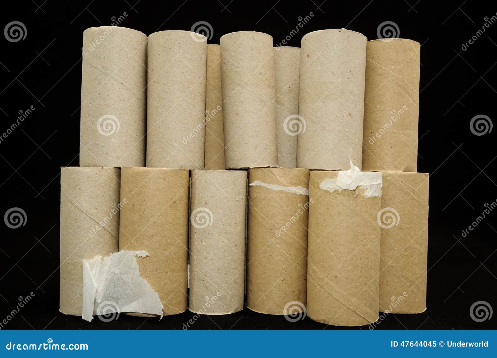 Empty Toilet Paper Roll stock image. Image of empty, roll - 47644045