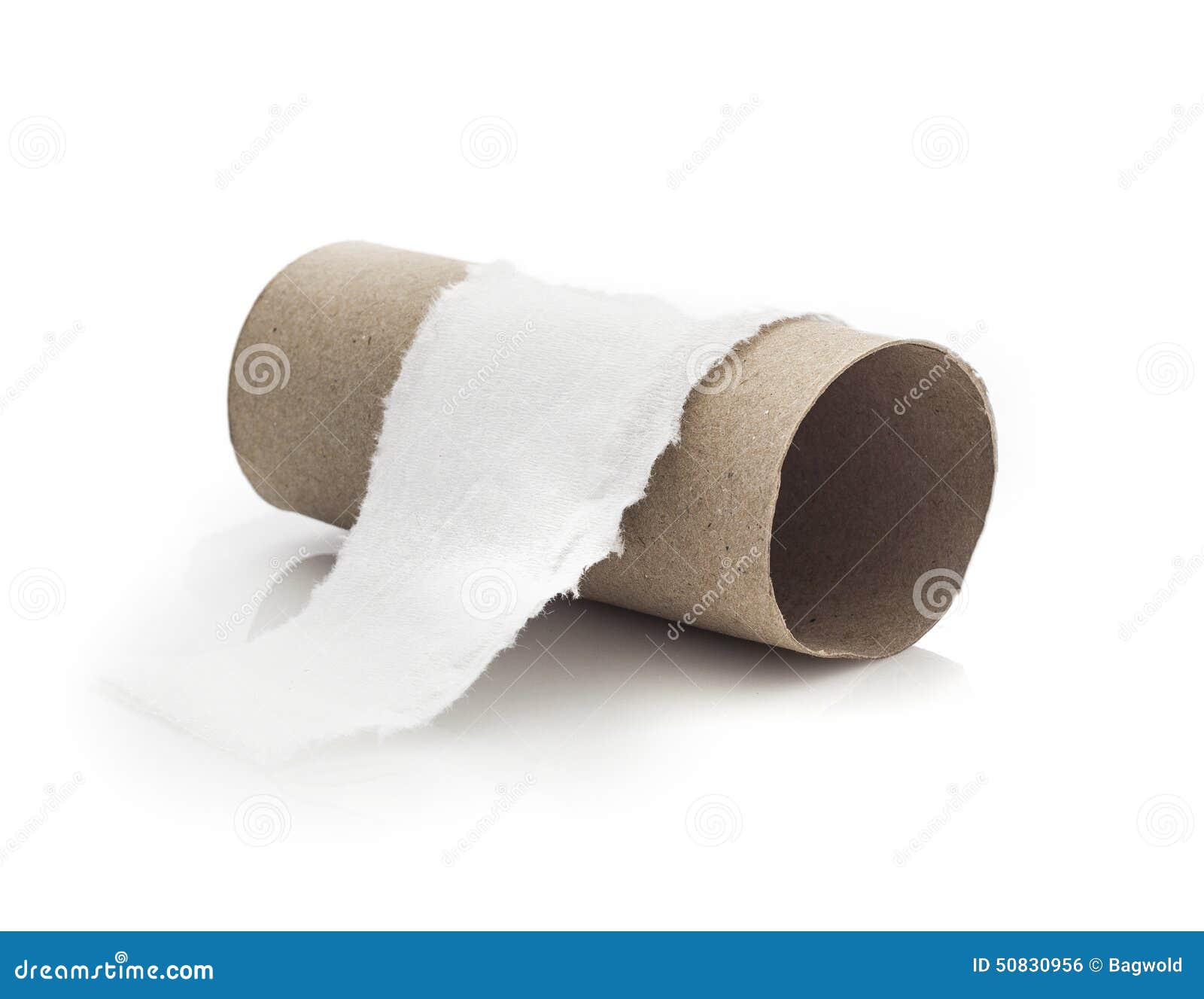556 Empty Paper Towel Roll Stock Photos - Free & Royalty-Free Stock ...