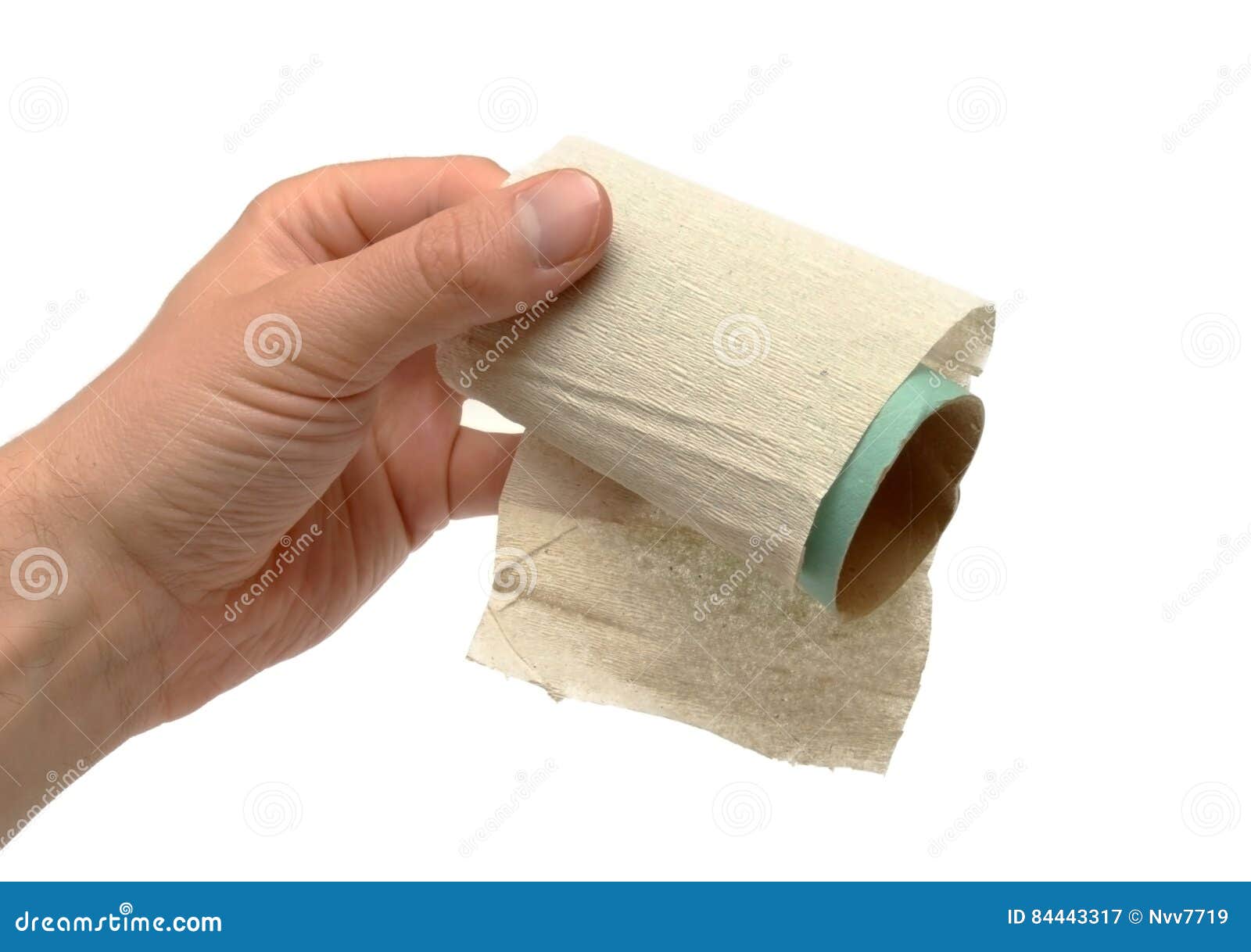 Empty toilet roll stock image. Image of isolated, empty - 84443317