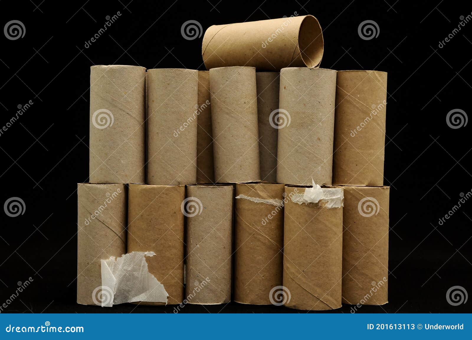 Empty Toilet Paper Roll stock image. Image of concept - 201613113