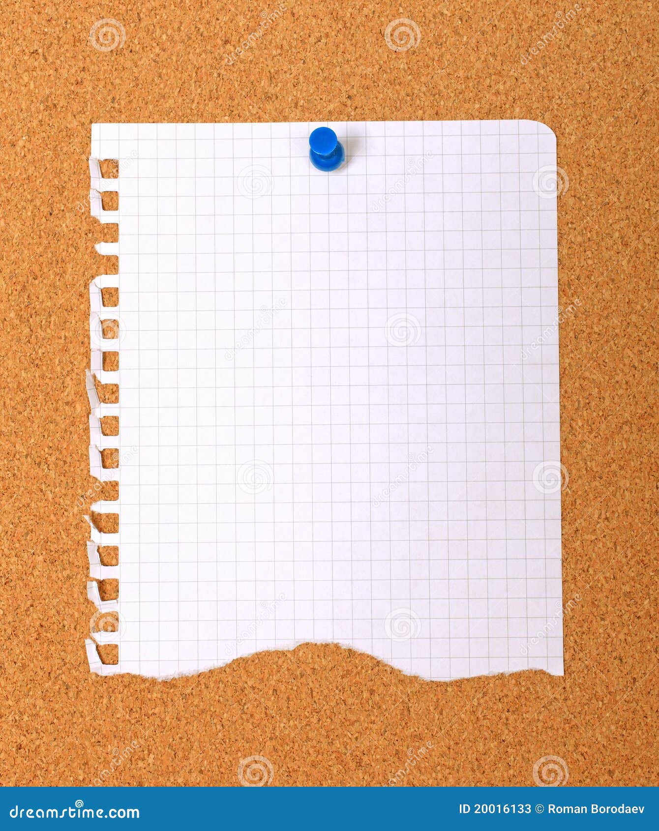 Torn Notebook Paper Note Cork Board Memo Notice Bulletin Pin Remider ...