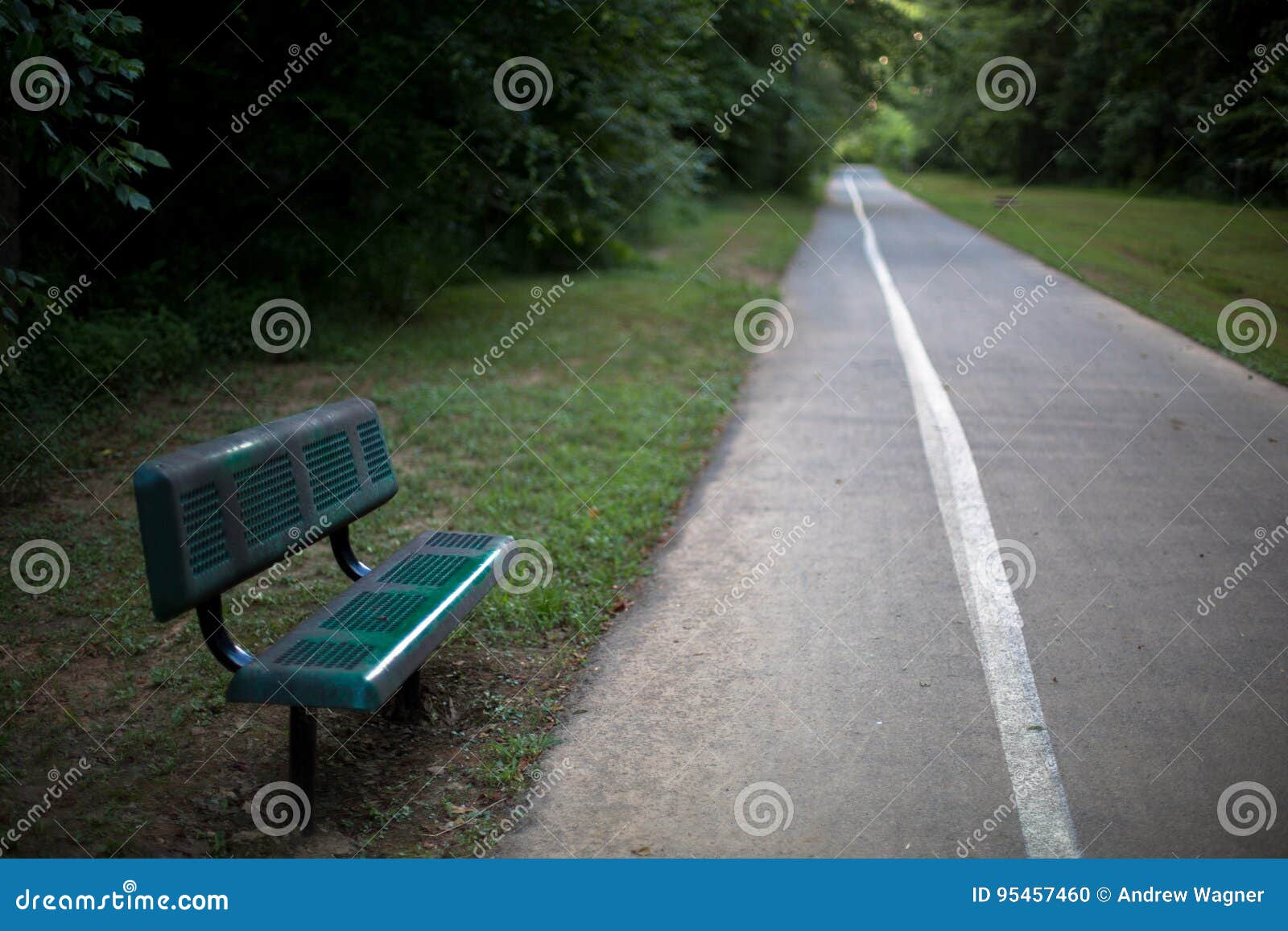 Empty trail bench stock photo. Image of relax, hike, grass - 95457460