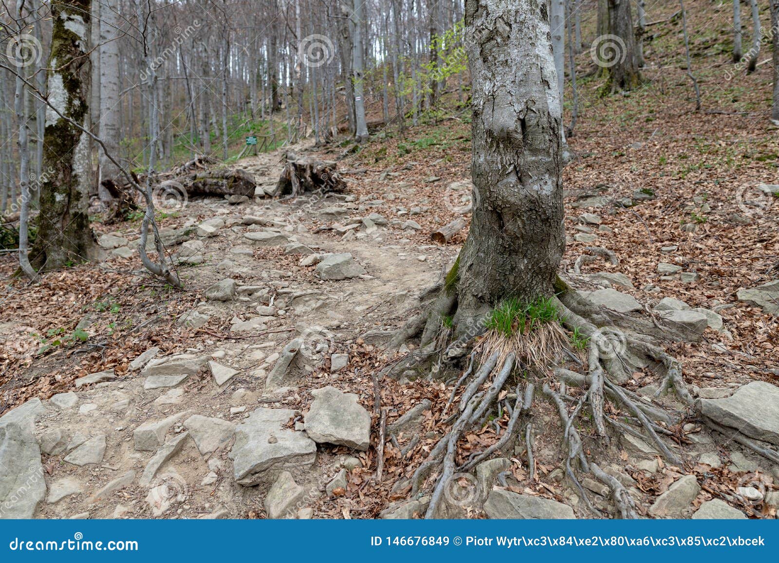 Empty Trail in the Mountains of Central Europe. a Path Leading High in ...