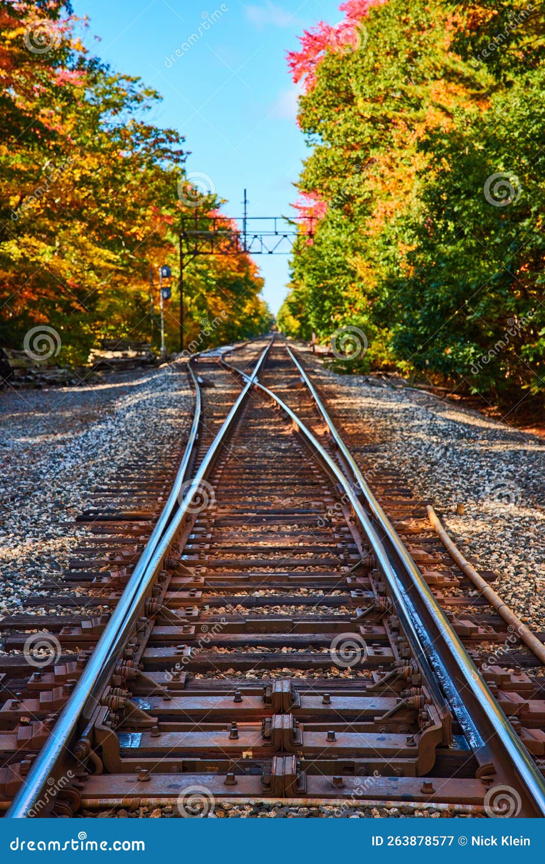 On Empty Train Tracks Leading into Forest during Fall Foliage Stock ...
