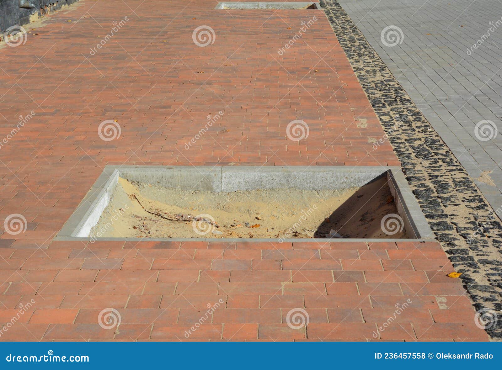 An Empty Tree Pit in Paved Surrounds. Making a Tree Pit To Plant Trees ...