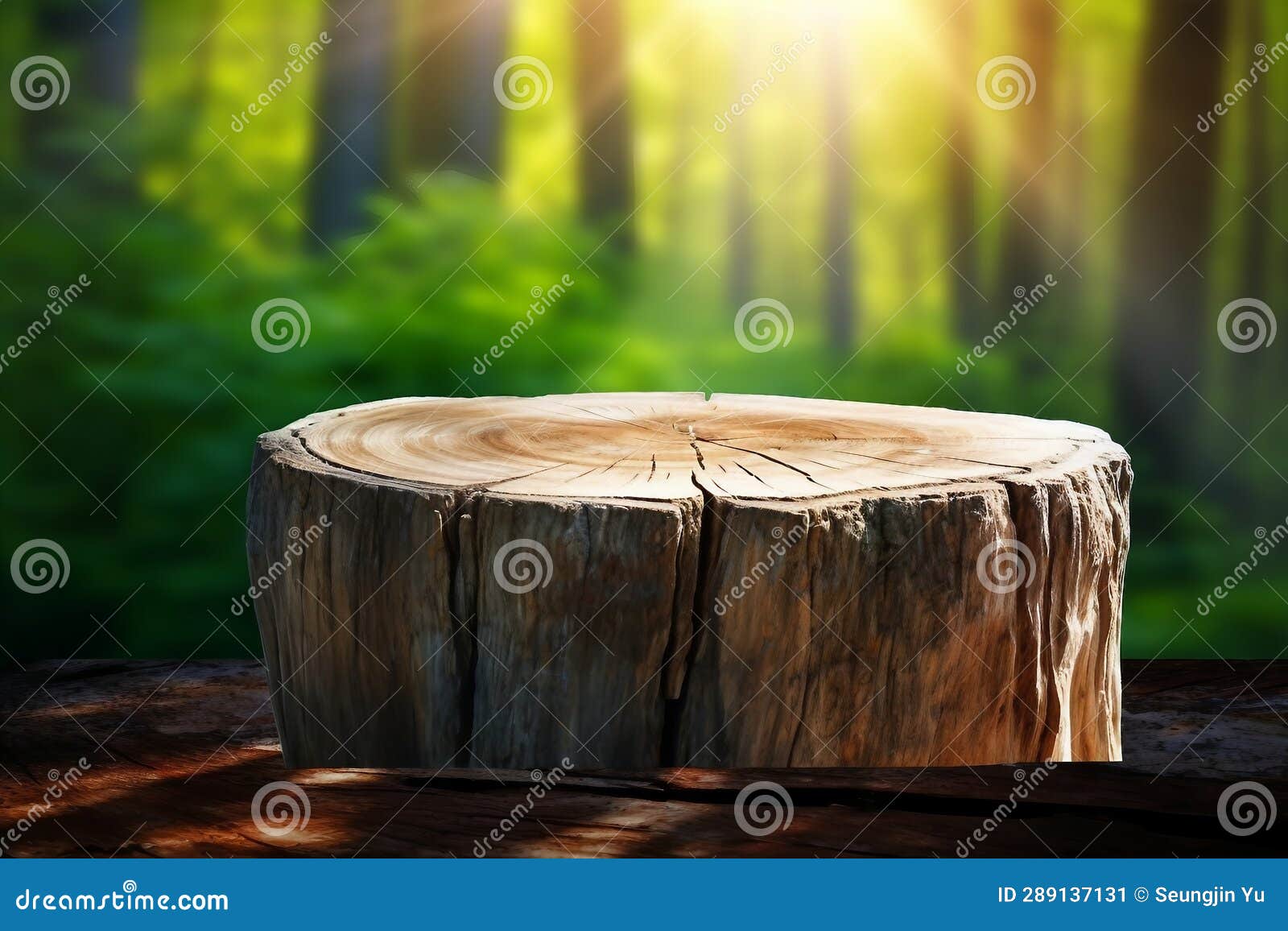 Empty Tree Trunk for Display Montages Stock Image - Image of stand ...