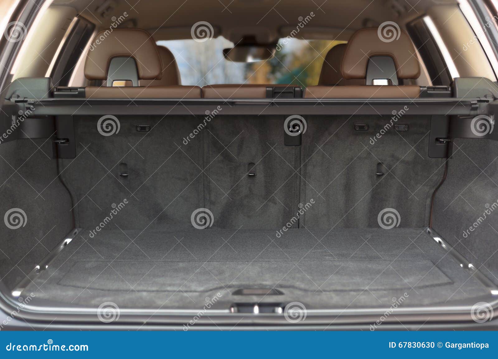 Empty trunk space stock photo. Image of rear, luxury - 67830630