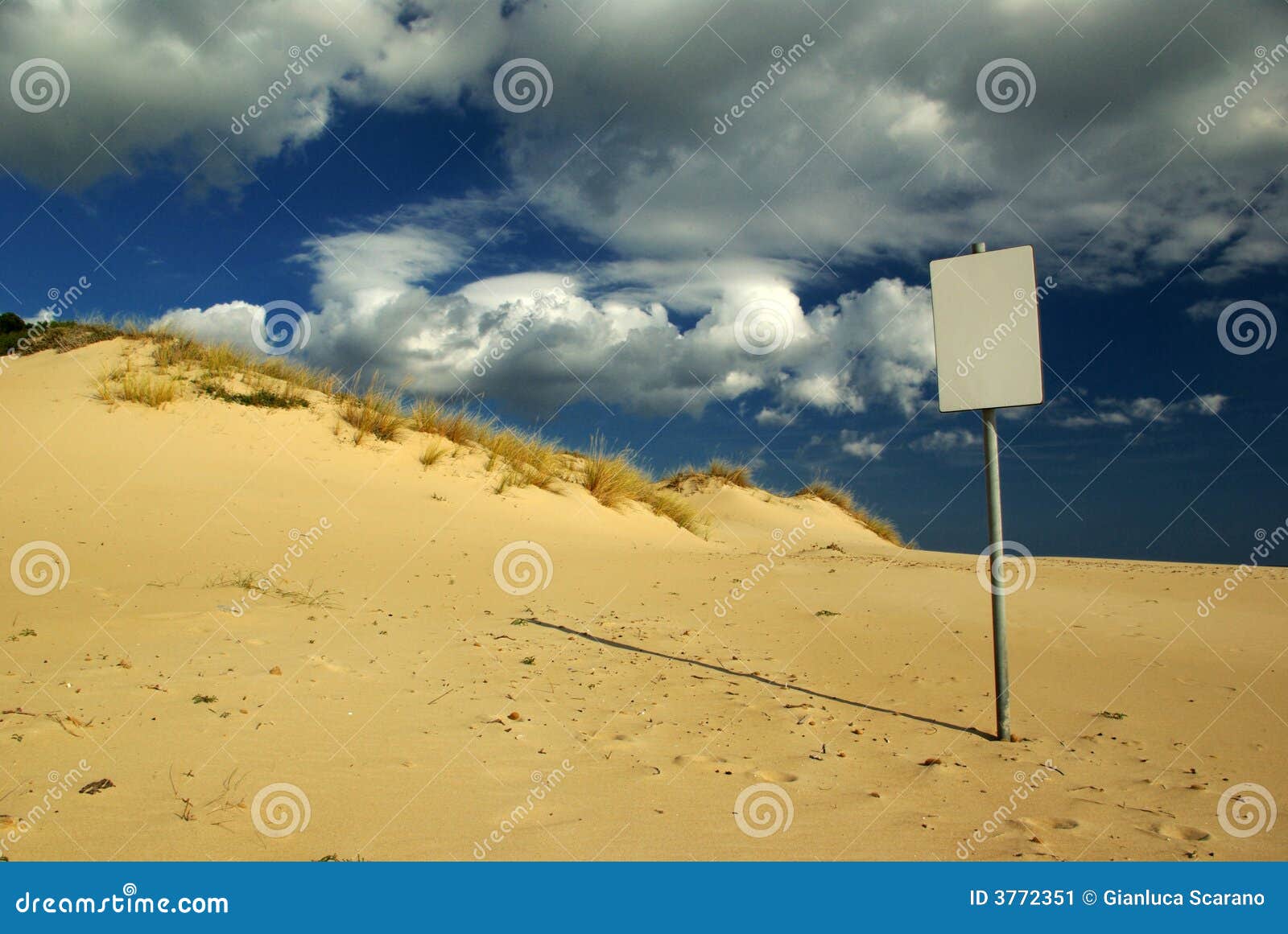 Empty Trust (erased by Wind) Stock Image - Image of paradise, violet ...