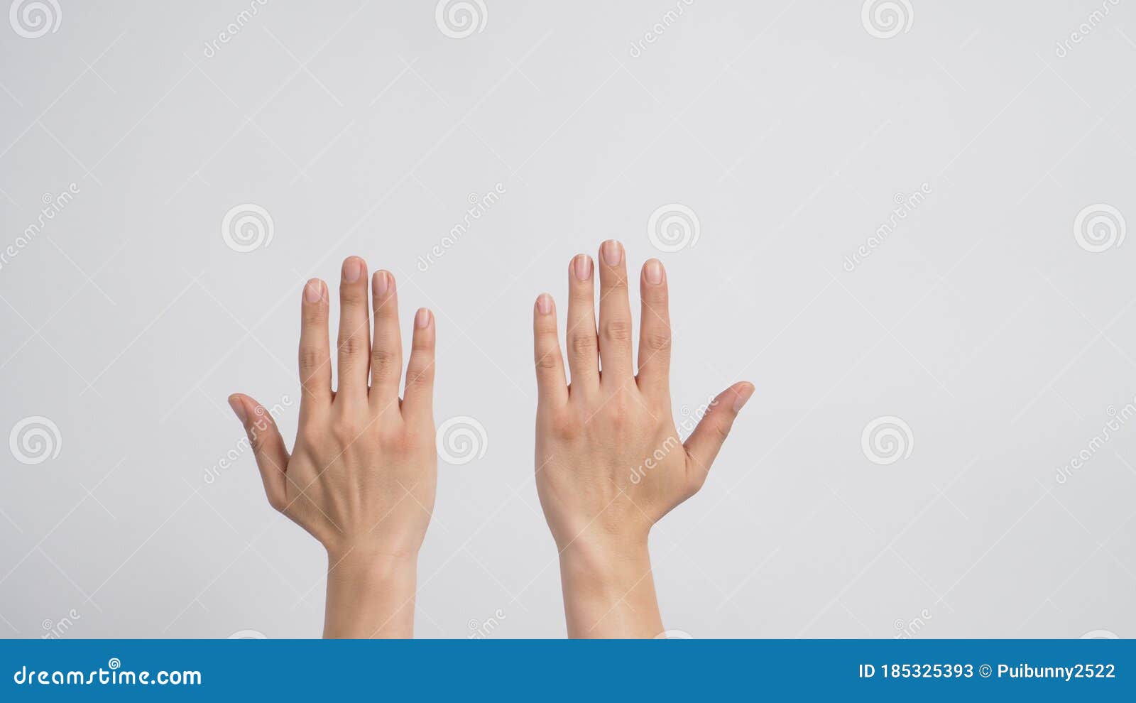Empty Two Back Hand on White Background Stock Image - Image of female ...