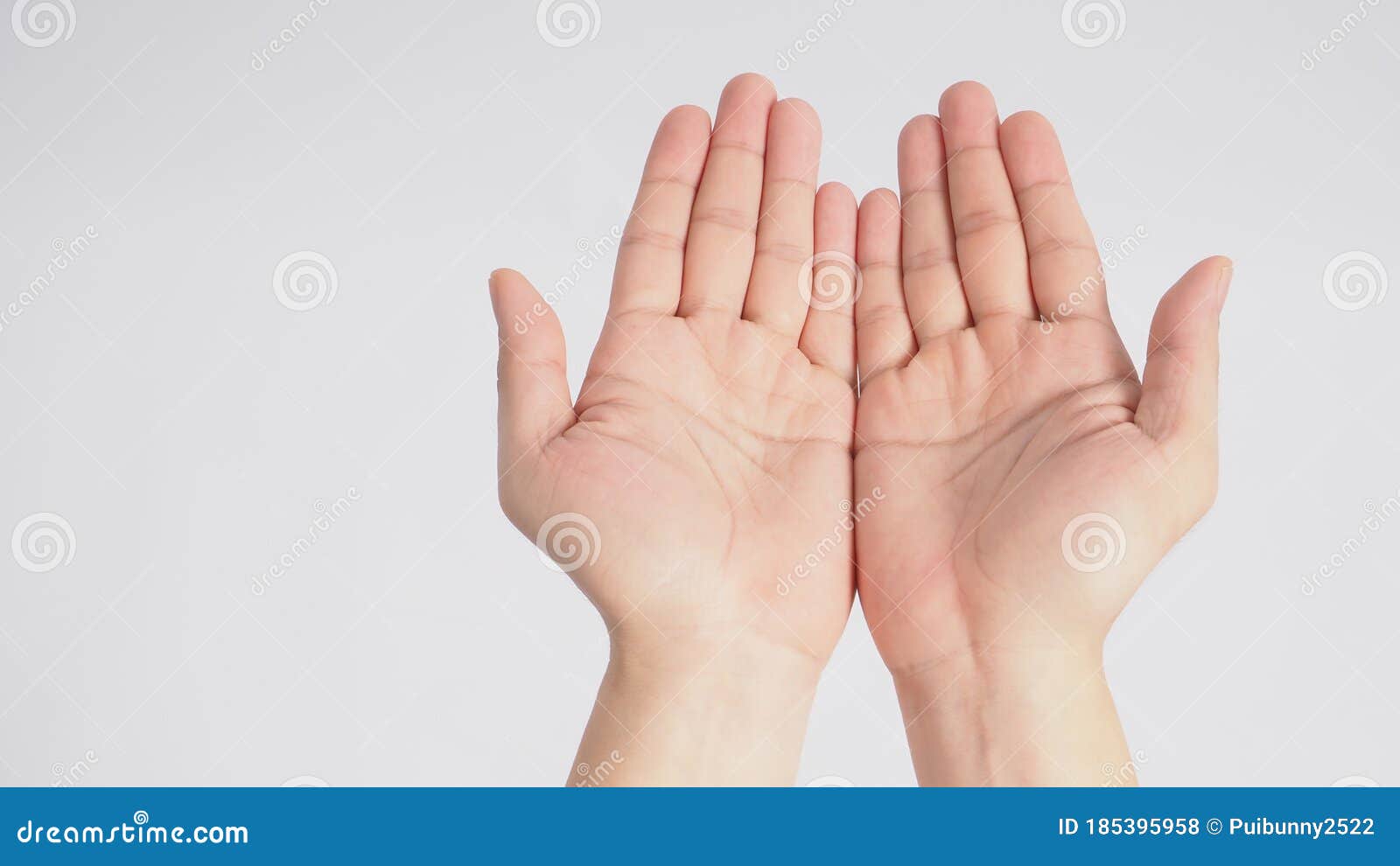 Empty Two Hands on White Background Stock Photo - Image of hand, finger ...