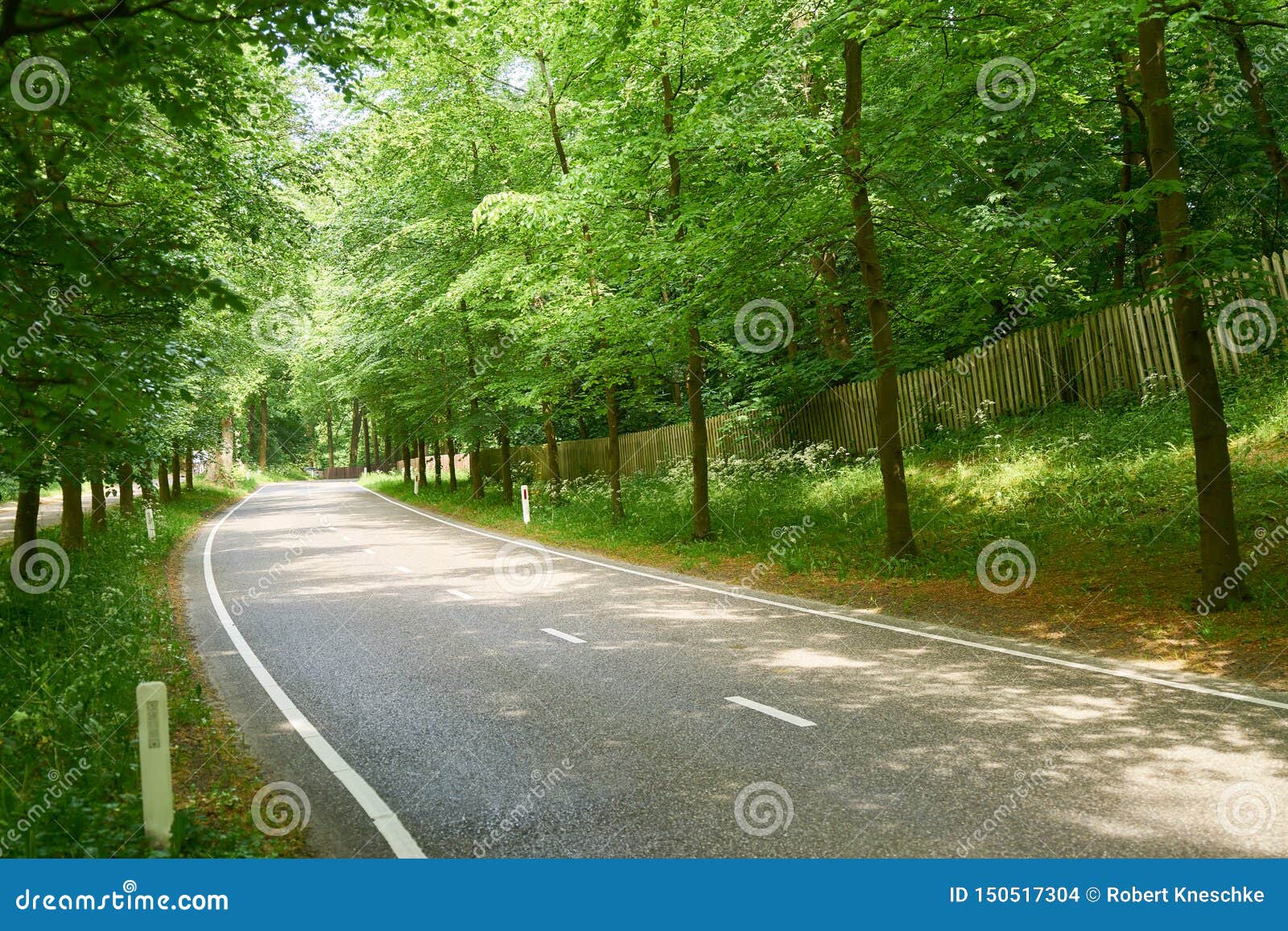 Empty Two Lane Road with Curve Stock Photo - Image of trip, outside ...