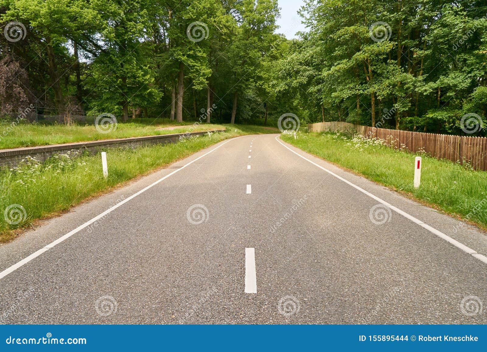 Empty Two Lane Road through Green Landscape Stock Photo - Image of trip ...