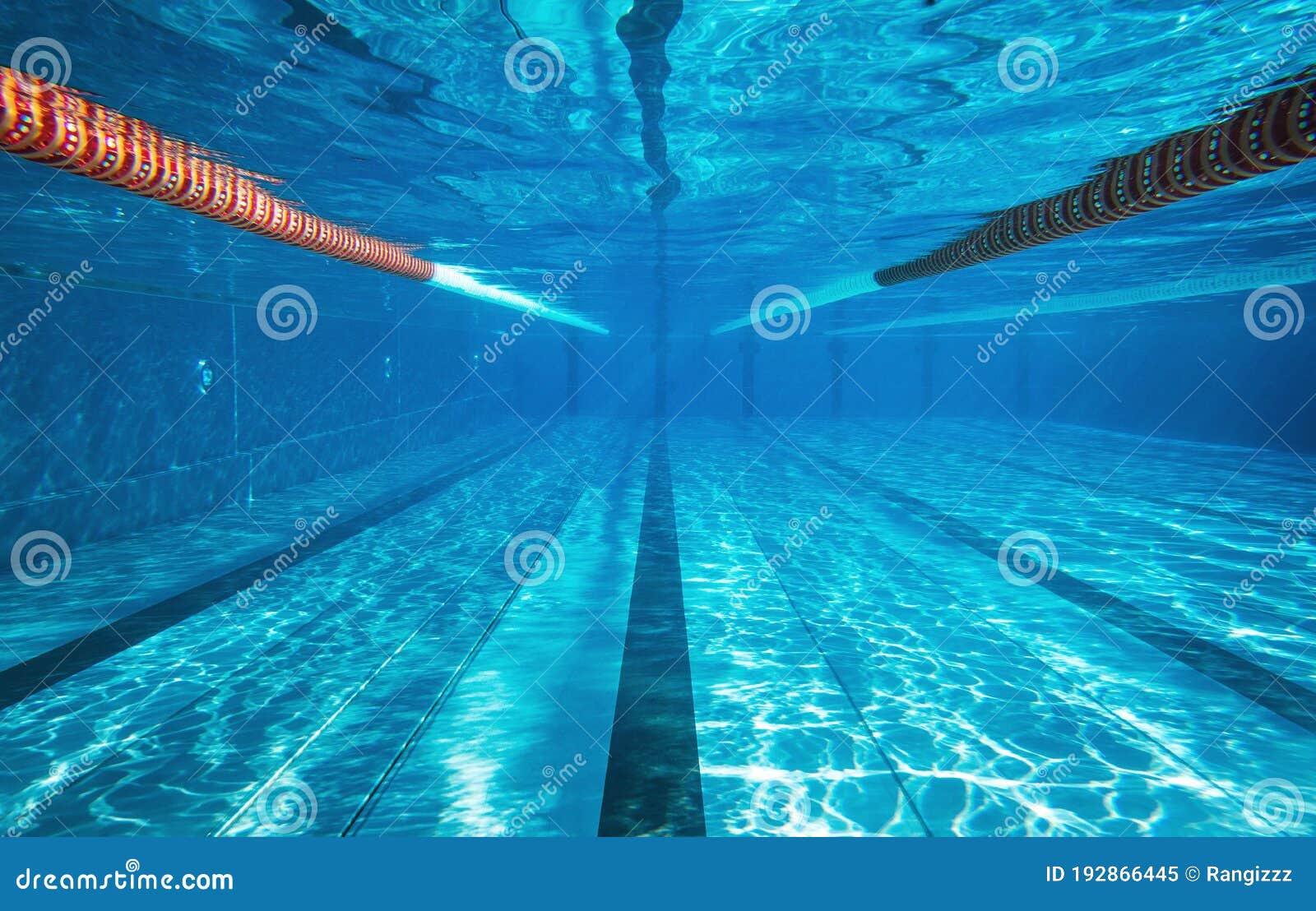 Empty Underwater Swimming Pool Stock Image - Image of pool, health ...