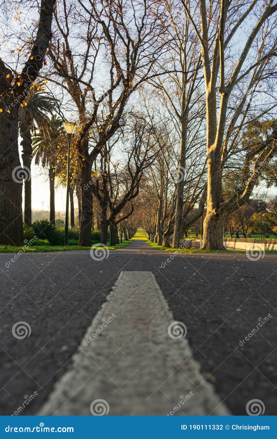 Empty Urban Walking Path with Morning Light. Stock Photo - Image of ...