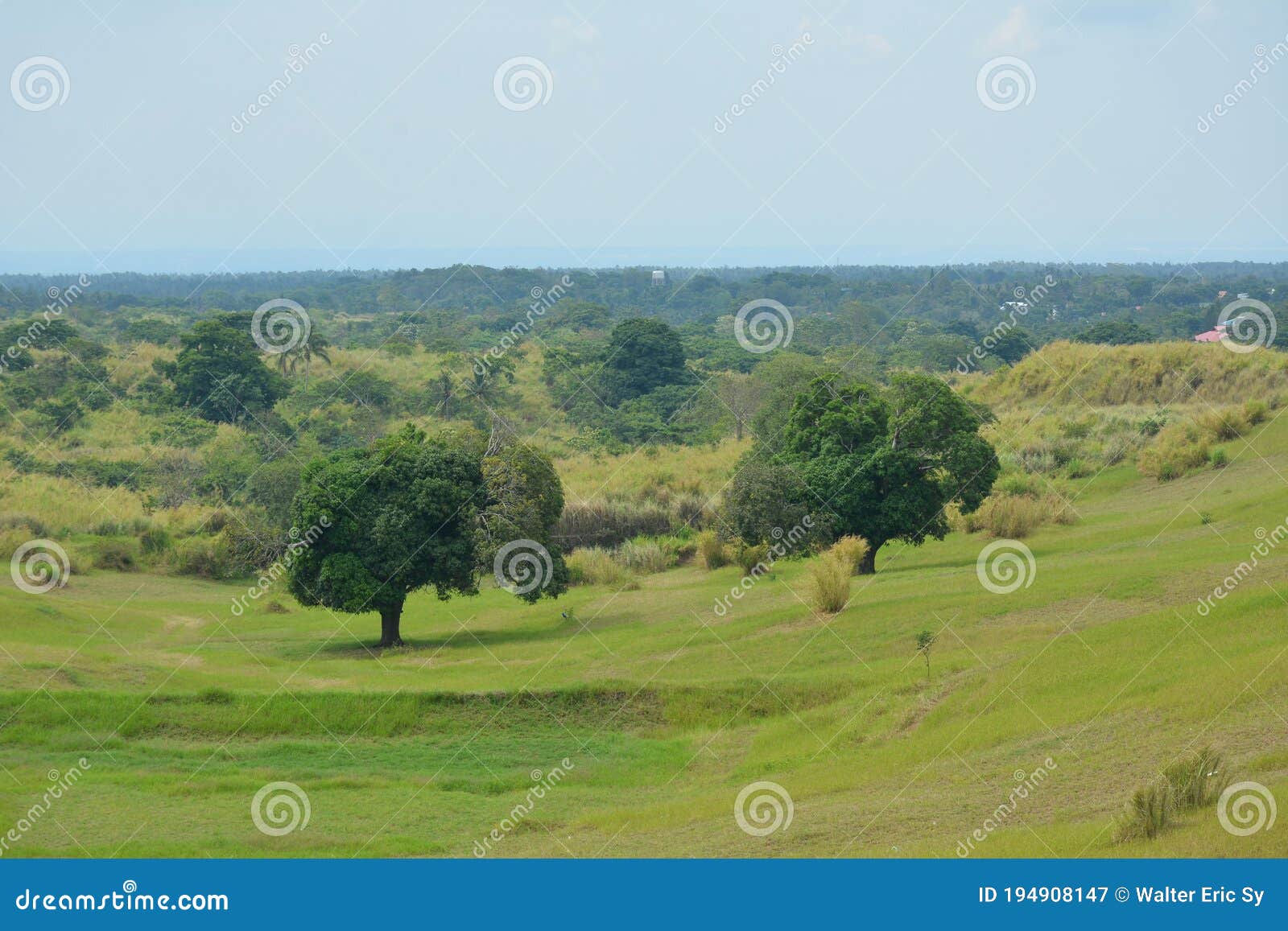 Empty Vacant Lot with Grass and Trees View during Daytime Stock Image ...