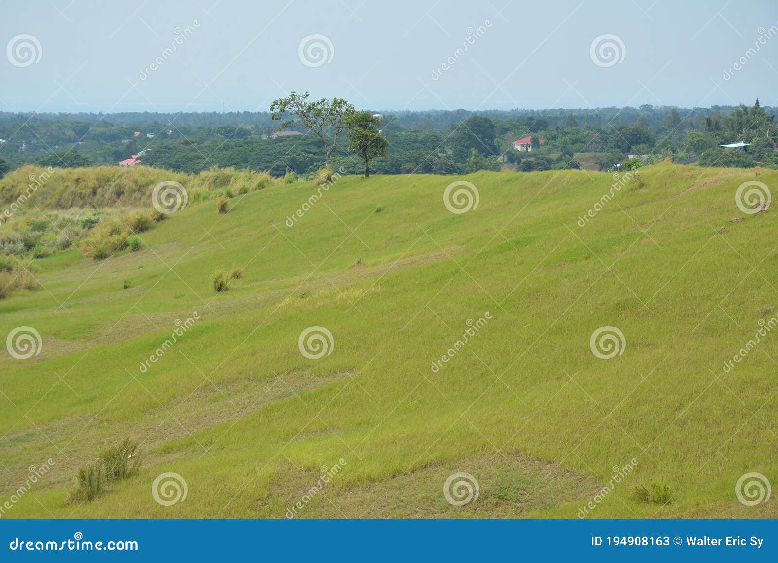 Empty Vacant Lot with Grass and Trees View during Daytime Stock Image ...