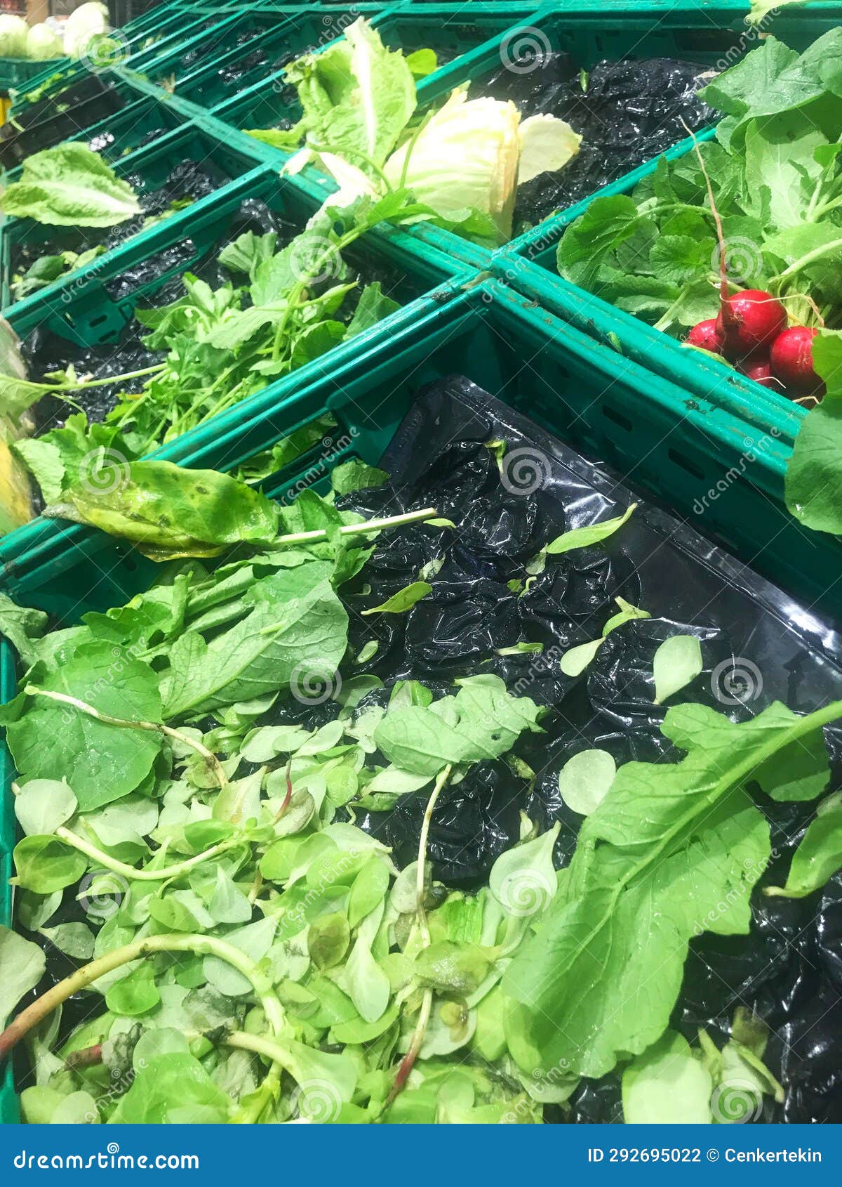 Empty vegetable stands stock photo. Image of market - 292695022