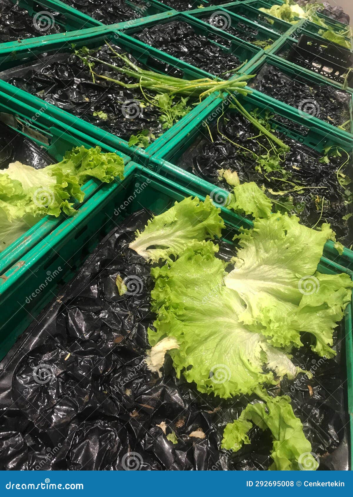 Empty vegetable stands stock photo. Image of leaves - 292695008