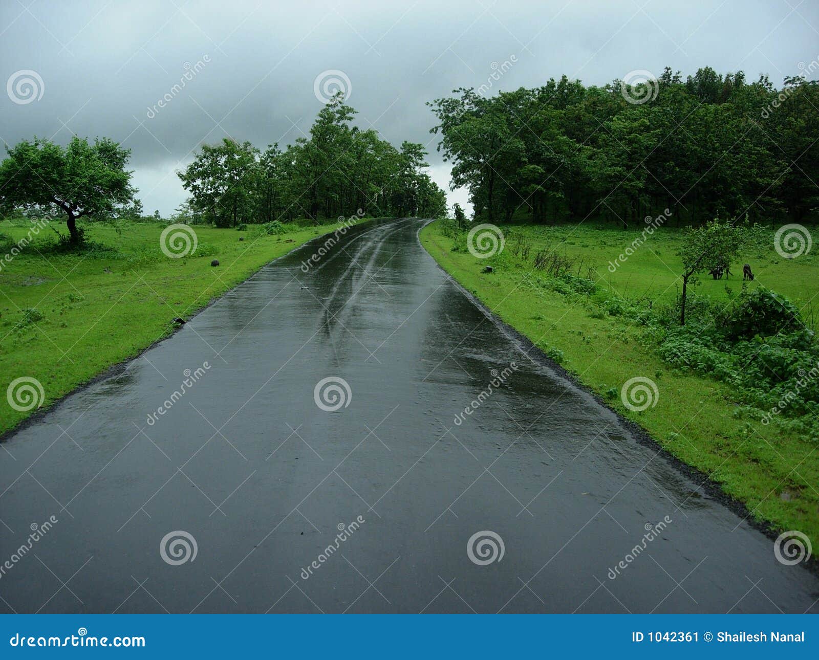 Empty Village Road stock image. Image of bliss, complex - 1042361