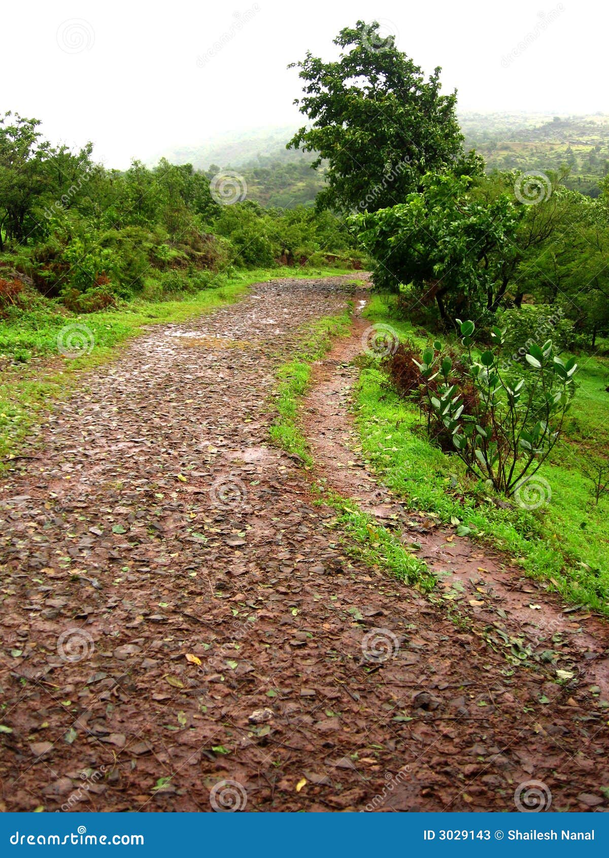 Empty Village Road stock image. Image of destination, green - 3029143