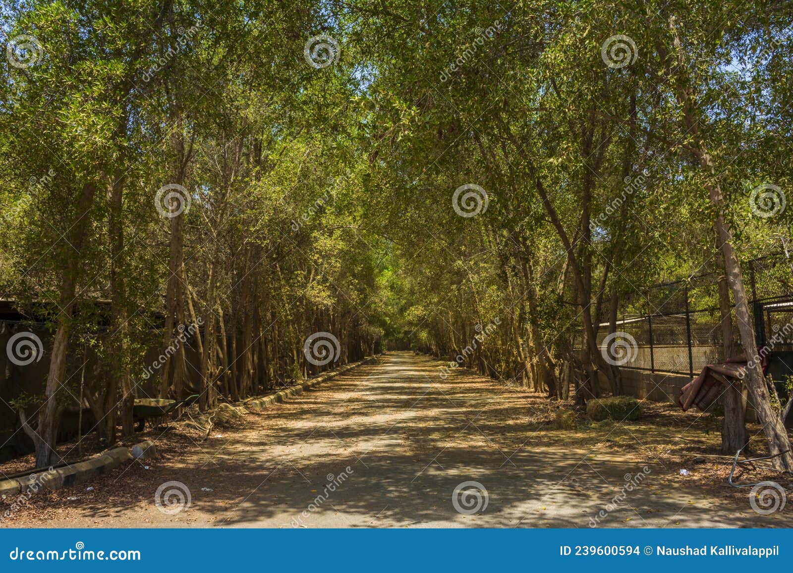 Empty village roadway stock photo. Image of village - 239600594