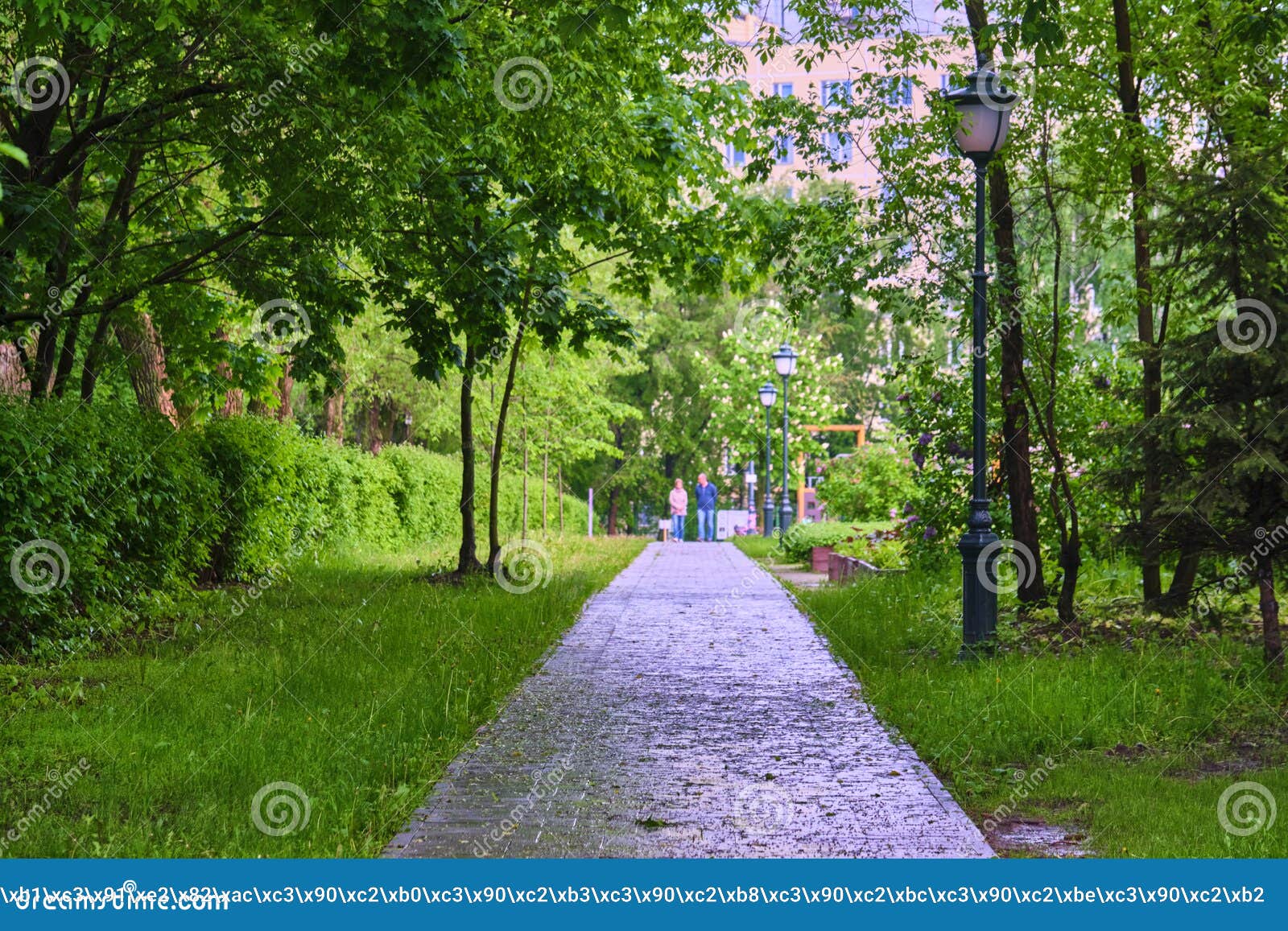 Empty Walkway in the Park General Plan Color Stock Photo - Image of ...