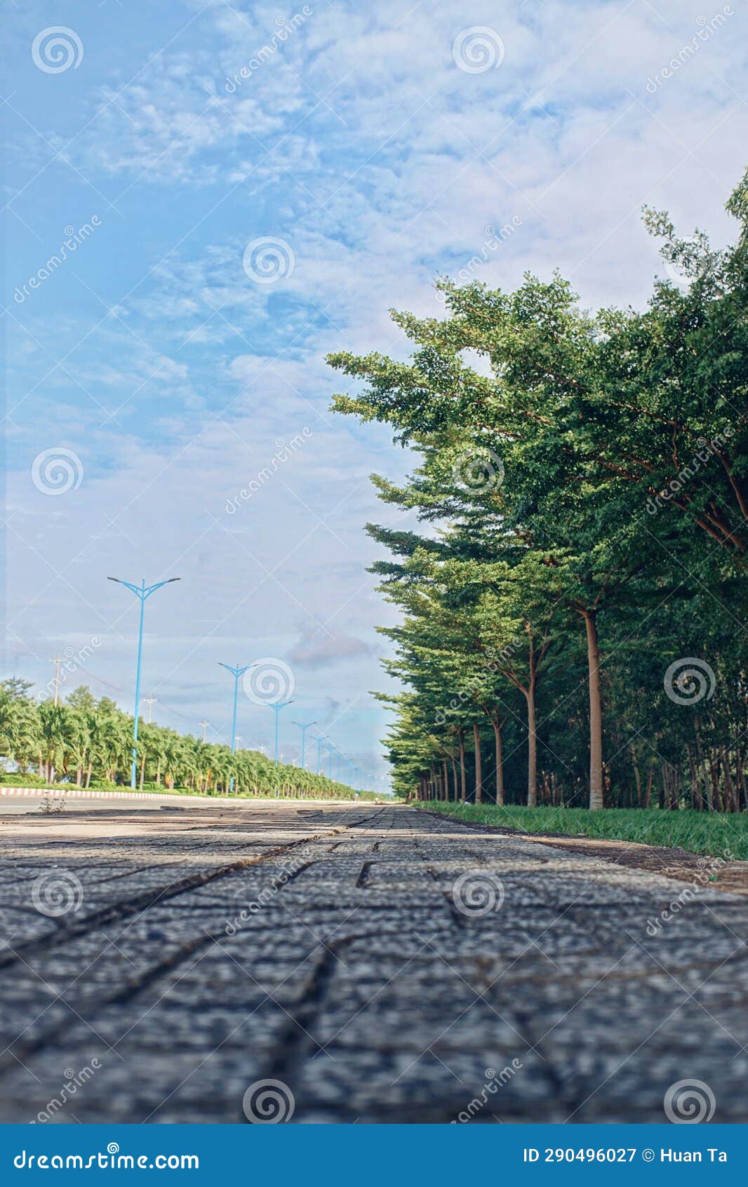 Empty Walkway, Side Walk with Row of Trees Stock Image - Image of ...