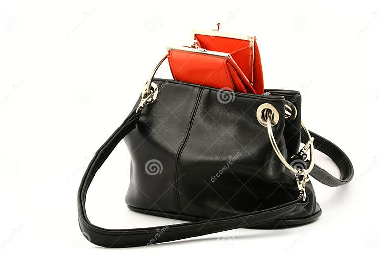 Empty wallet in bag stock photo. Image of silver, woman - 3245022