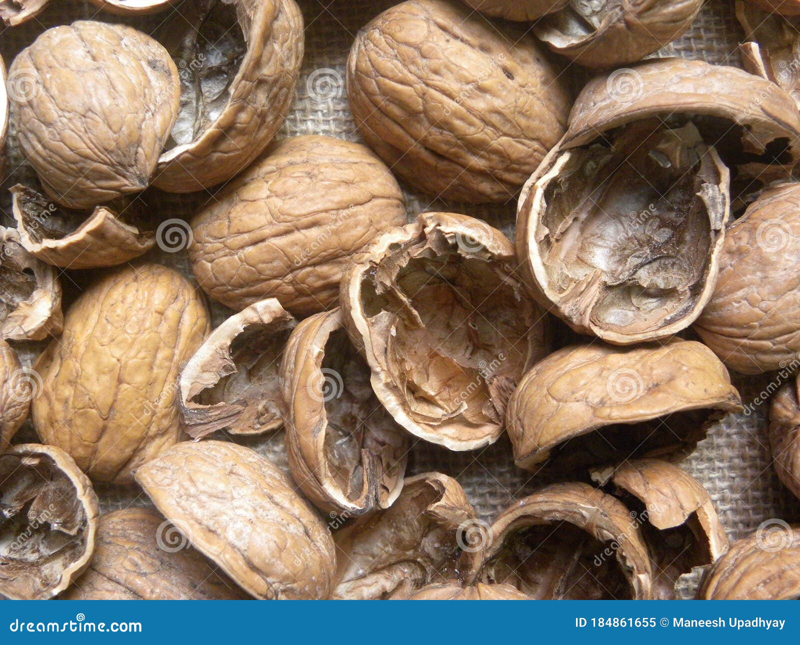 Empty Walnut shell stock image. Image of color, closeup - 184861655