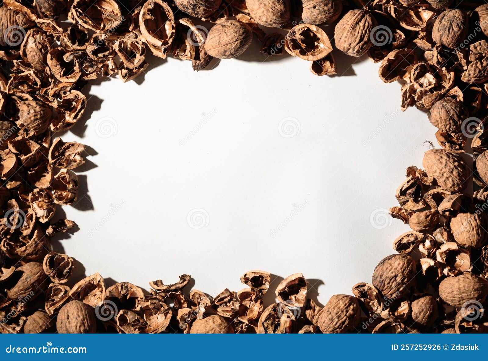 Empty Walnut Shell Frame. Textured Nut Border with White Place ...