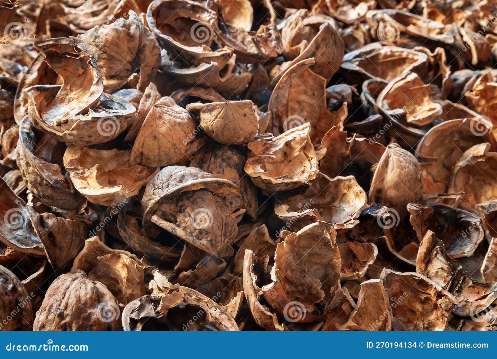 Empty Walnut Shell. Nut Shell Background. Nut Texture Close Up ...