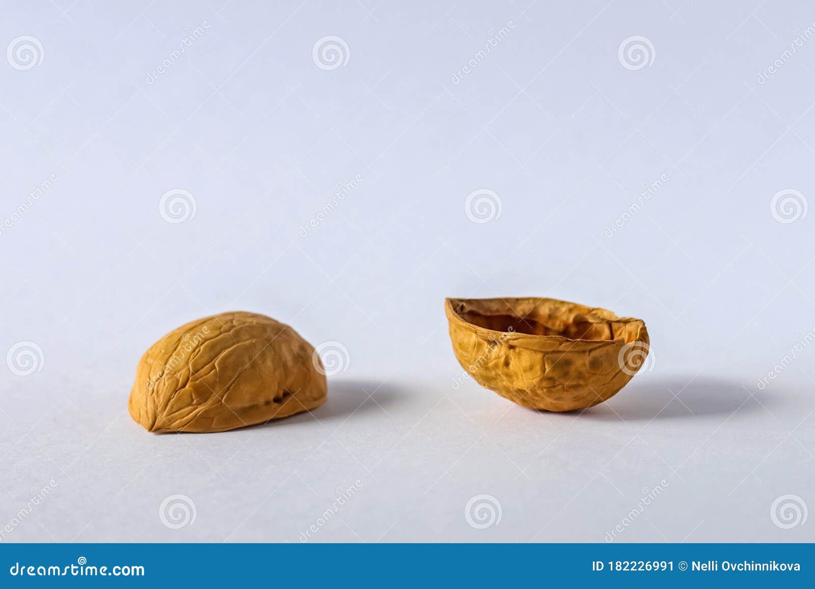 An Empty Walnut Shell Two Parts Lie on a White Surface Stock Image ...