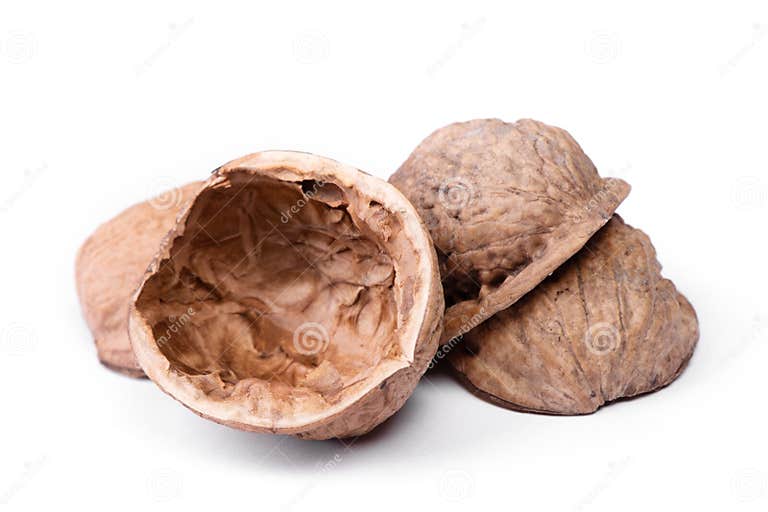 Empty walnut shells stock image. Image of empty, food - 175264257