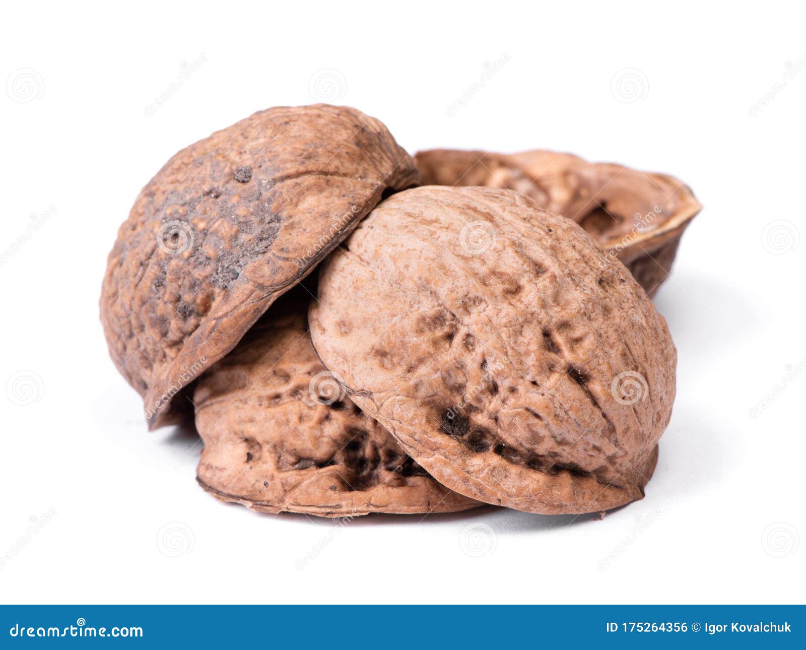 Empty walnut shells stock photo. Image of shell, healthy - 175264356