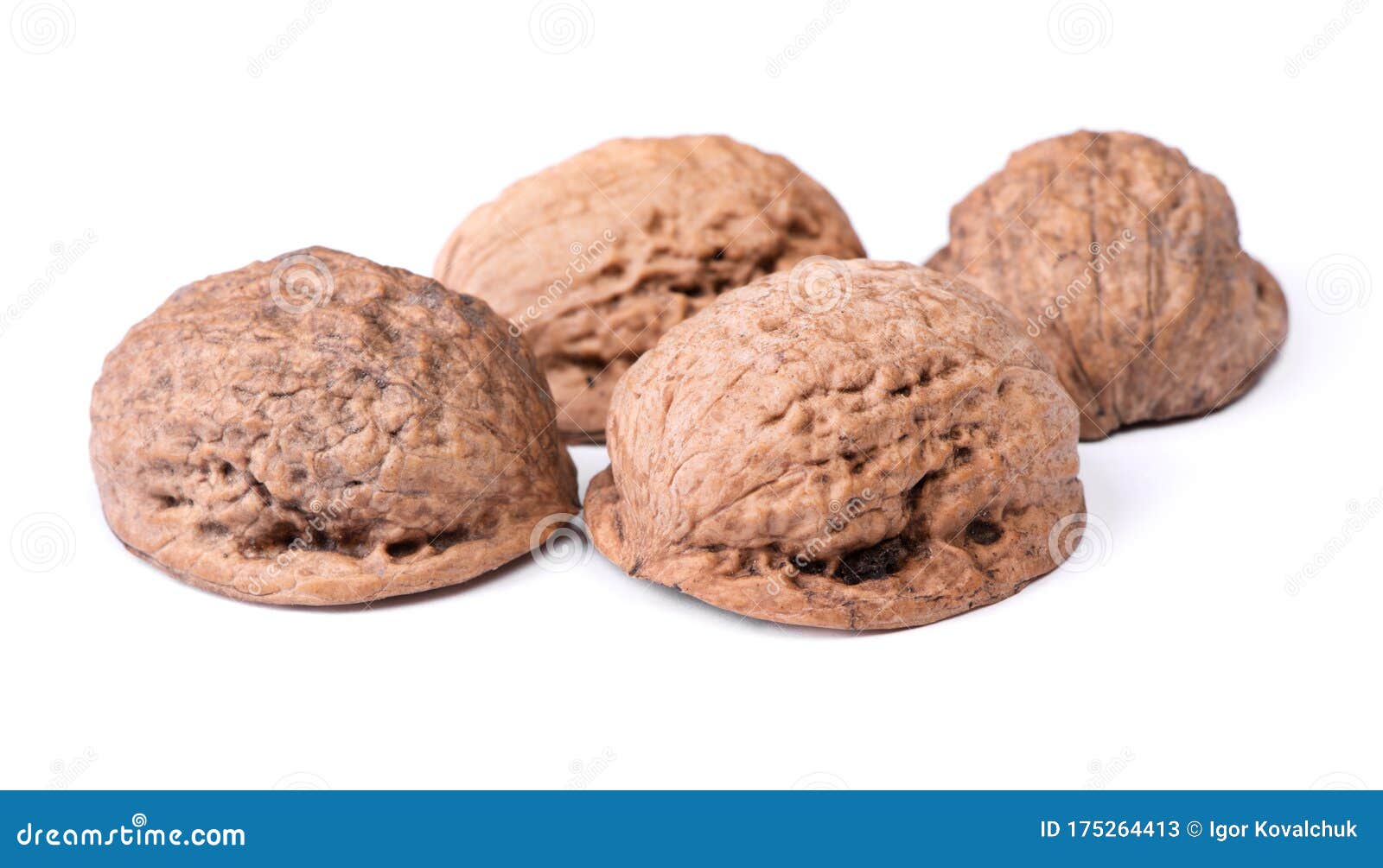 Empty walnut shells stock image. Image of natural, object - 175264413
