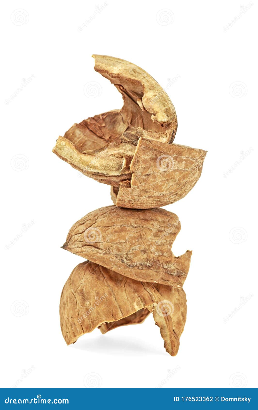 Empty Walnut Shells Isolated on White Background Stock Photo - Image of ...