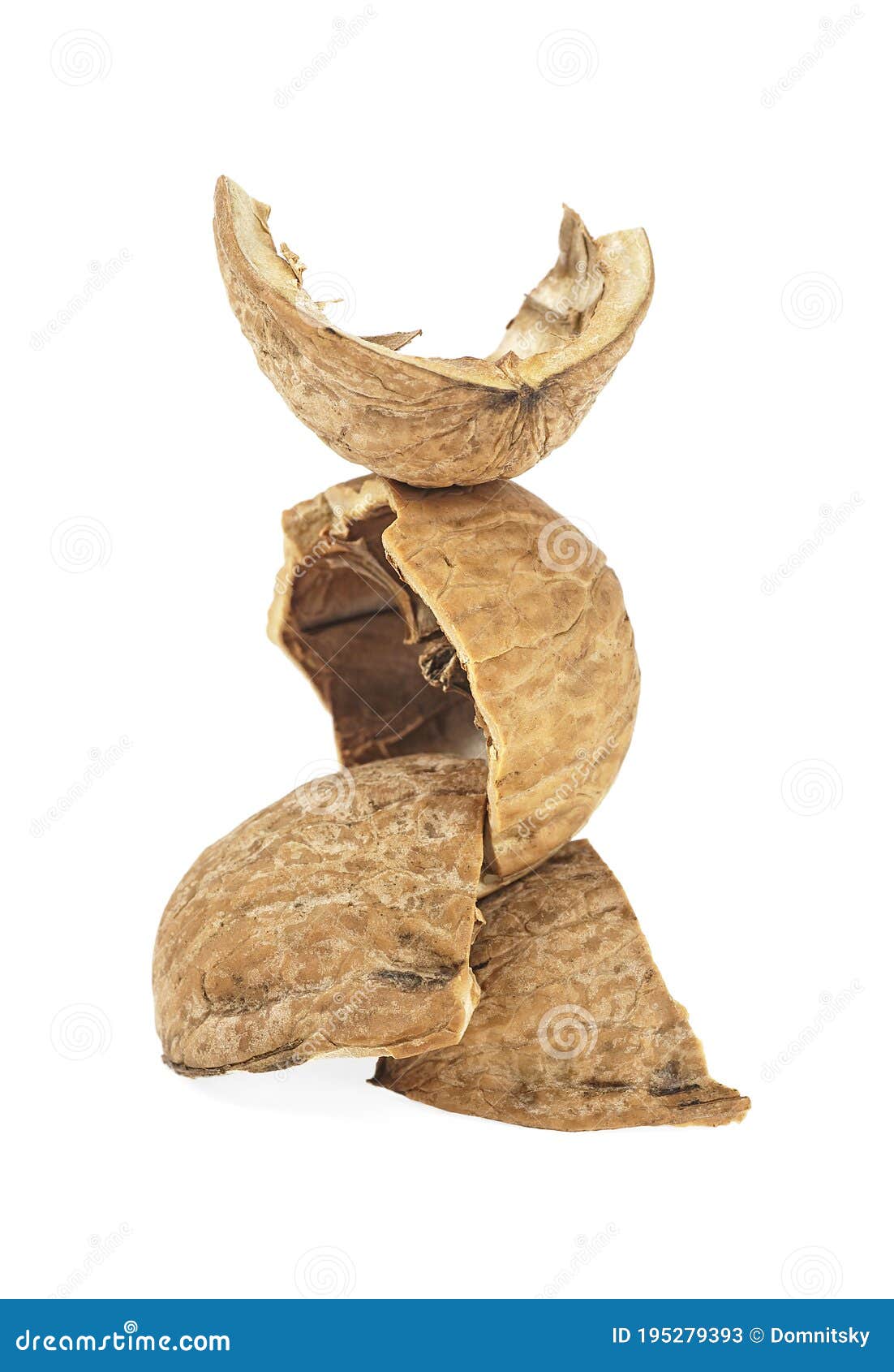 Empty Walnut Shells Isolated on White Background Stock Image - Image of ...