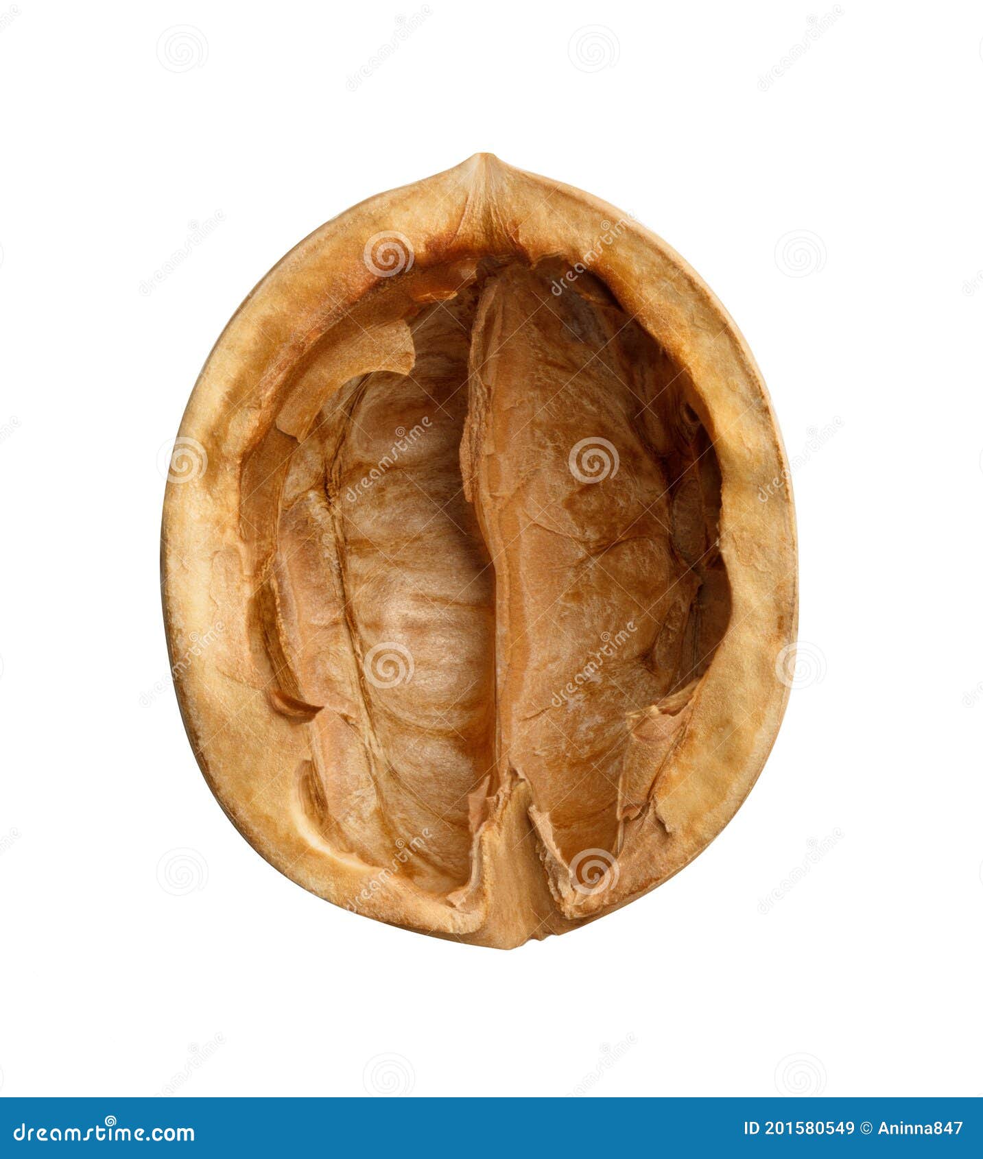 Empty Walnut Shells Isolated on White Background Stock Image - Image of ...