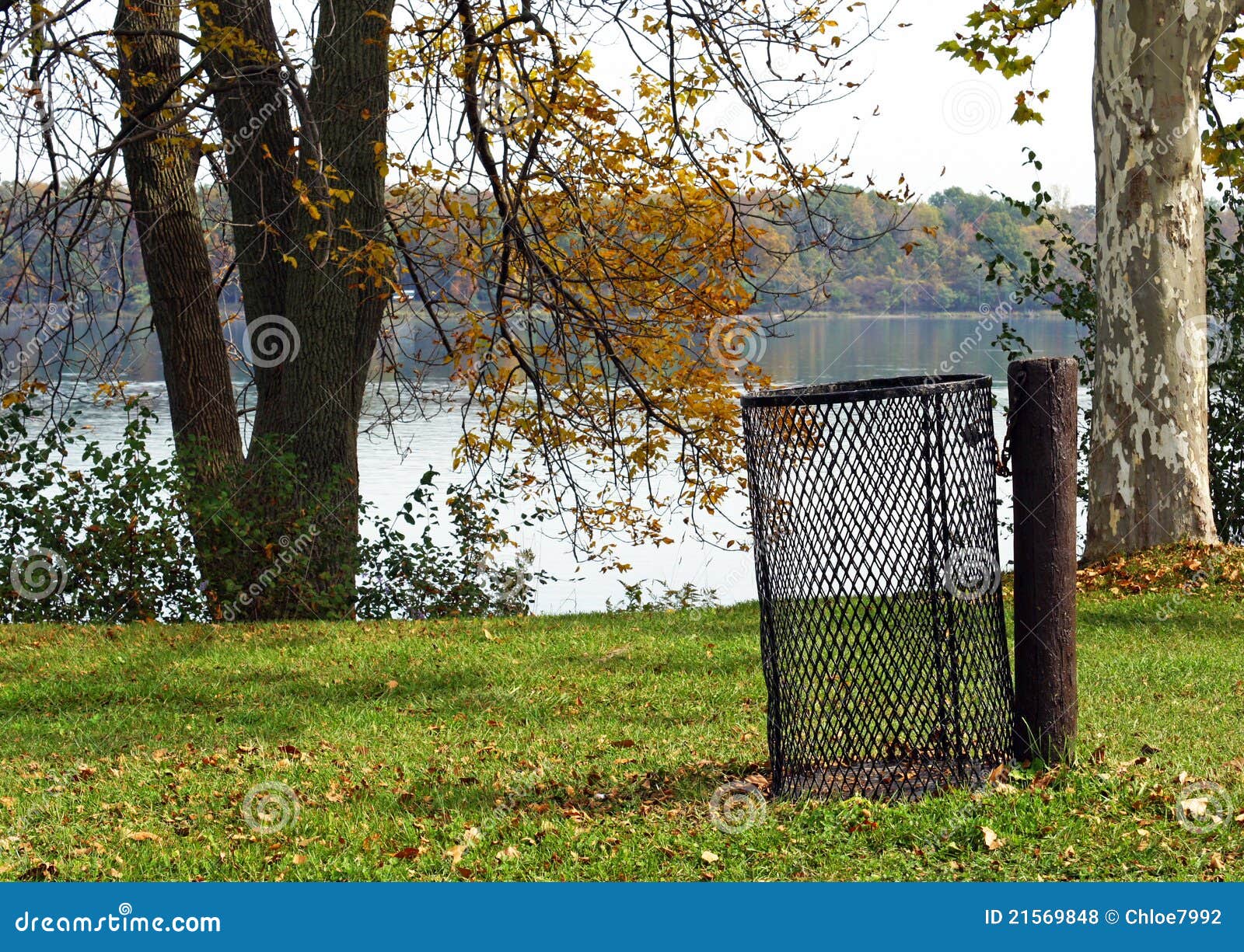 Empty Waste Bin stock photo. Image of open, water, trash - 21569848