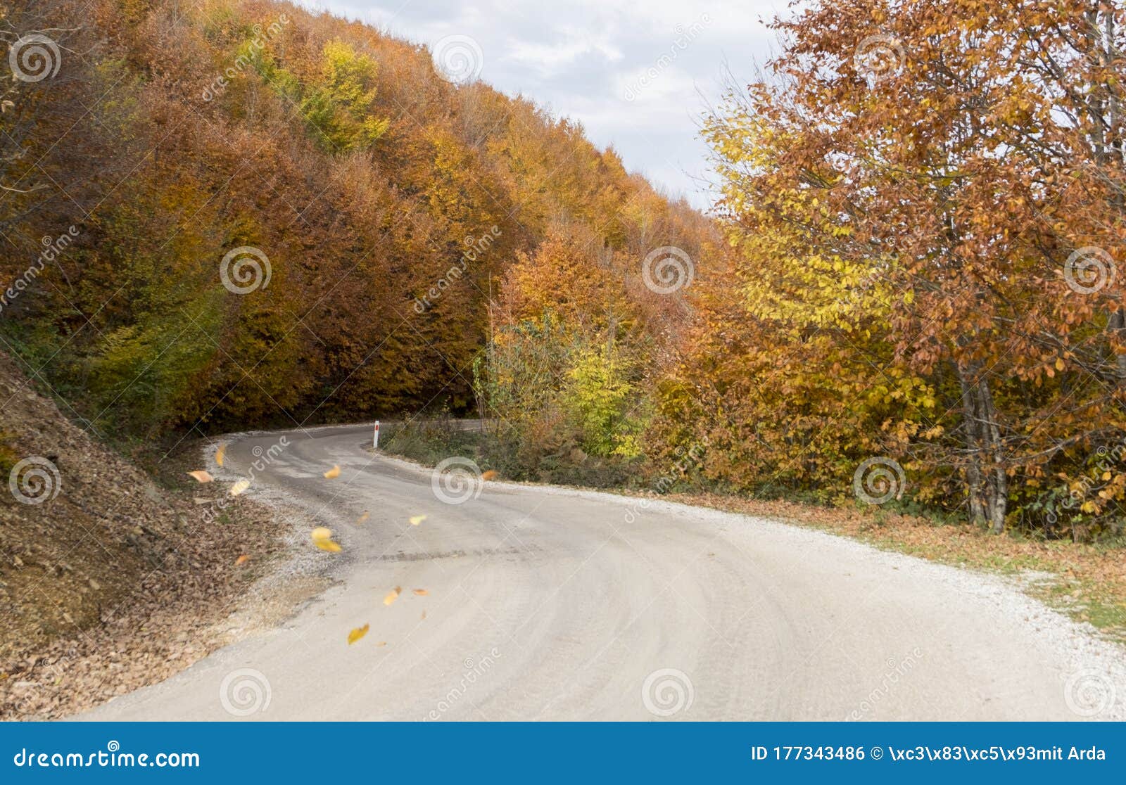 Empty Way and Faded Trees in Spring Stock Photo - Image of forest, park ...