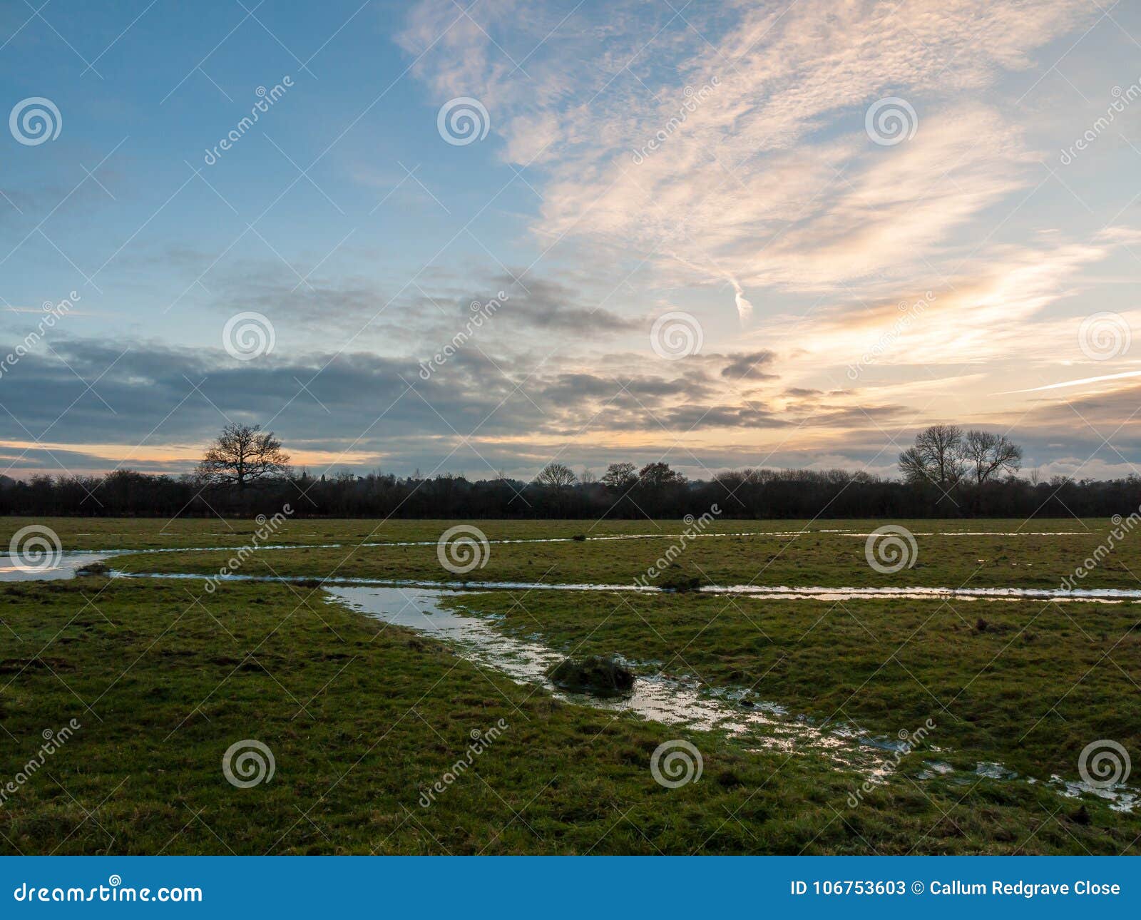 Empty Wet Grass Field Low Light Sunset Landscape Dedham Plain Em Stock ...