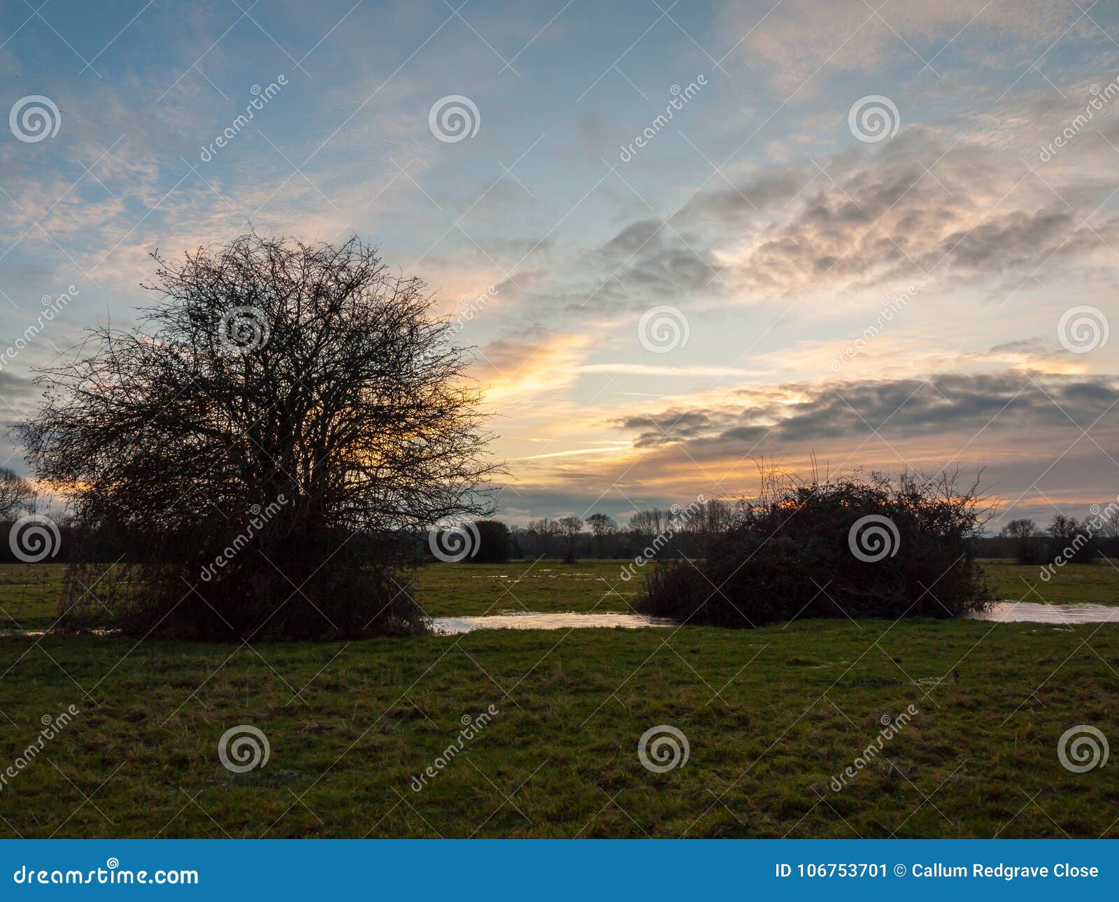 Empty Wet Grass Field Low Light Sunset Landscape Dedham Plain Em Stock ...