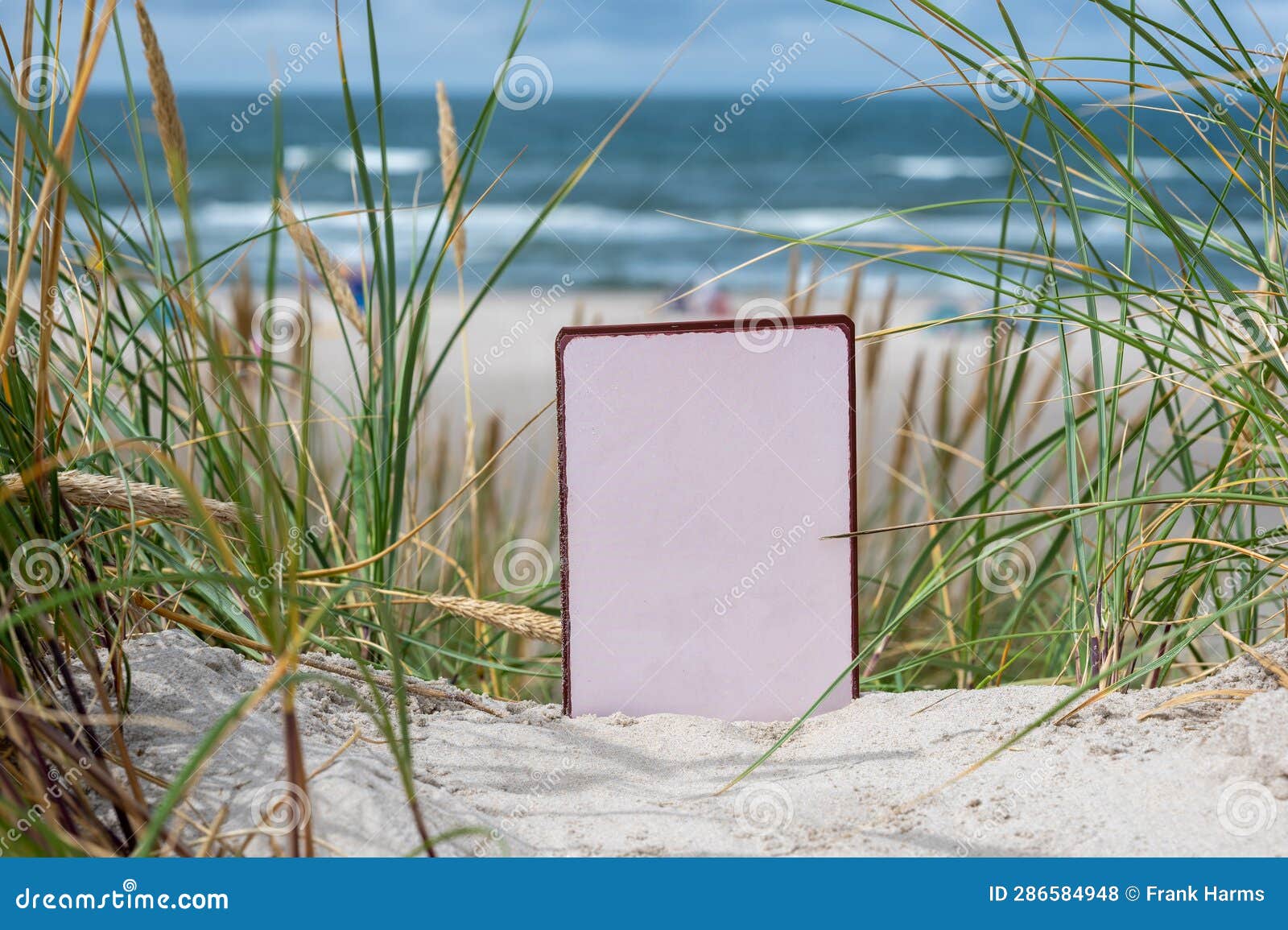 Empty White Board in the Sand Dunes at the Beach. Stock Photo - Image ...