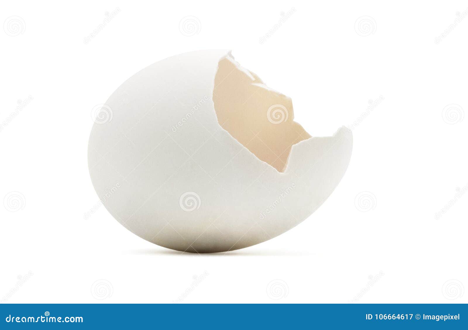 Isolated Cracked Egg Shell on White Stock Image - Image of empty, copy ...