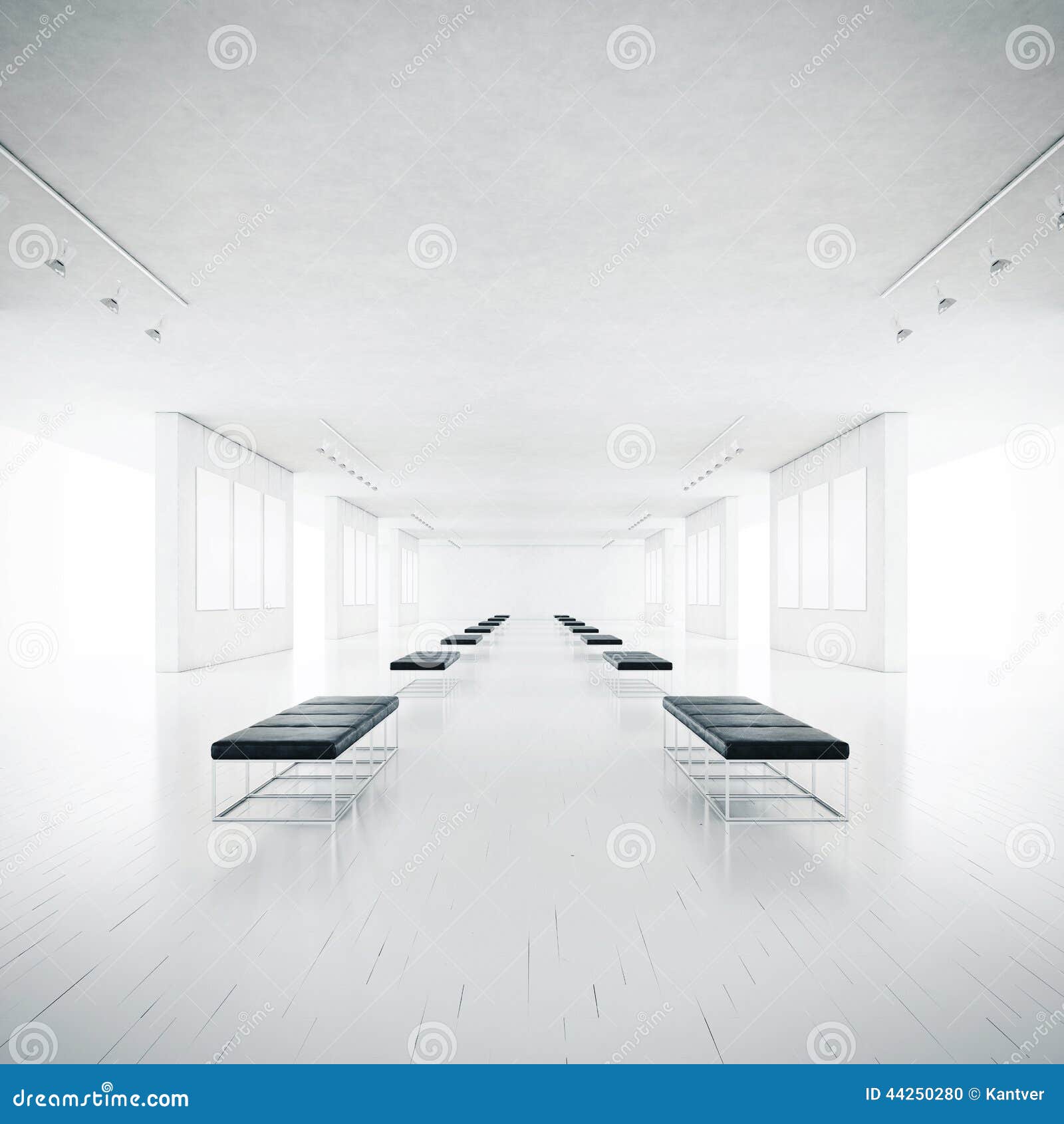 Empty White Gallery Interior Stock Photo - Image of creativity ...