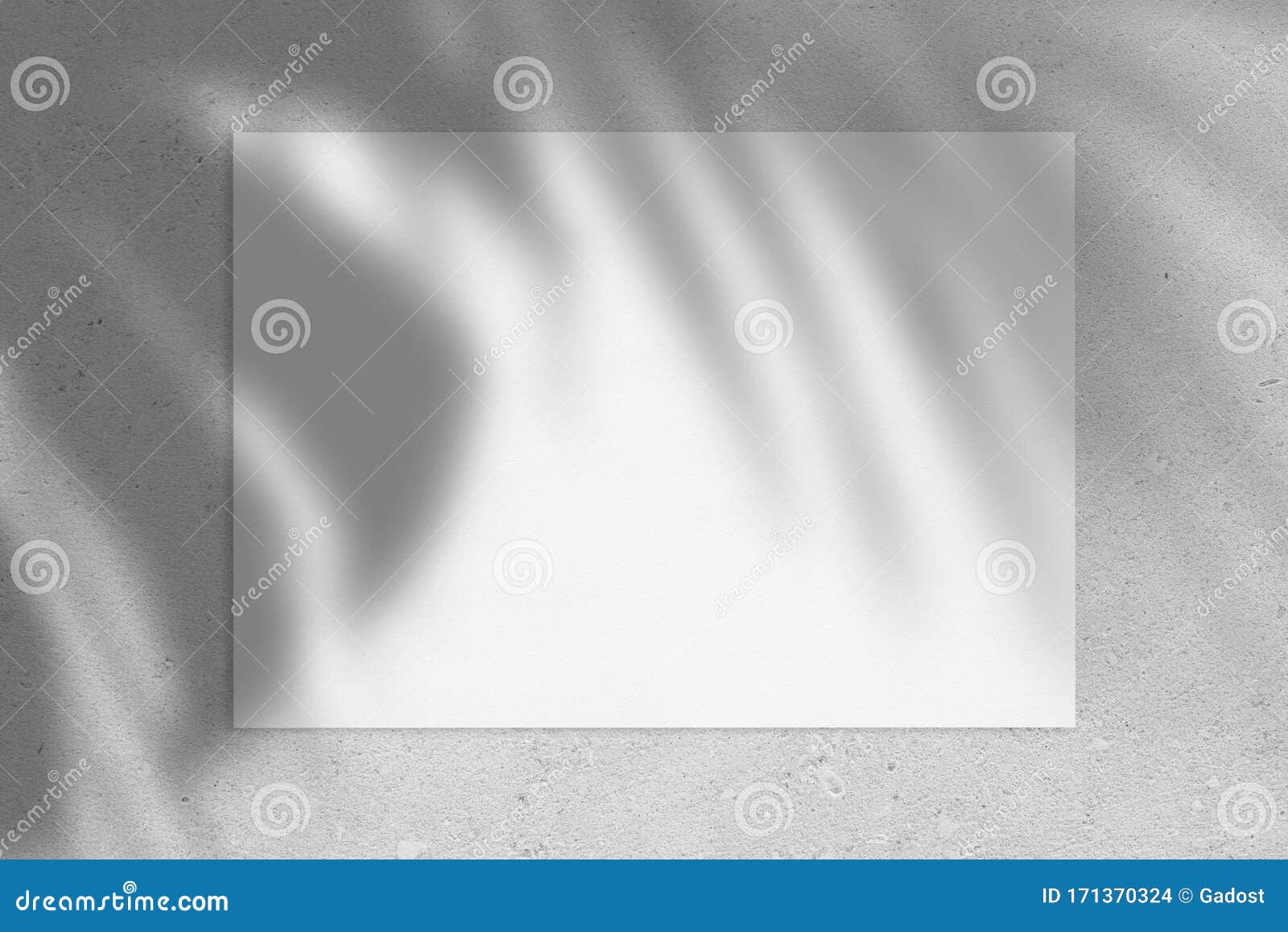 Empty White Horizontal Rectangle Poster or Card Mockup with Palm Leaves ...